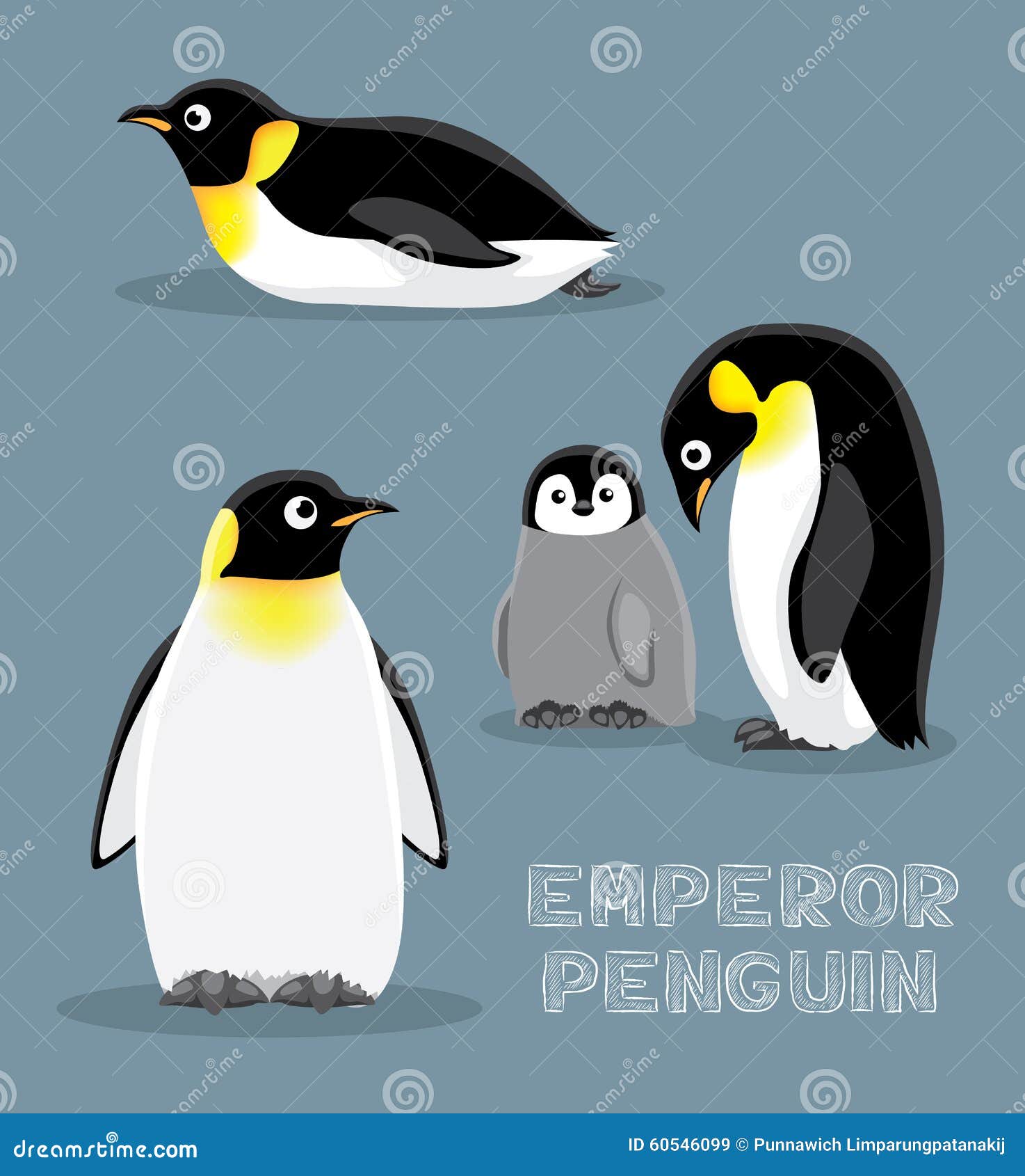 Emperor Penguin Cartoon