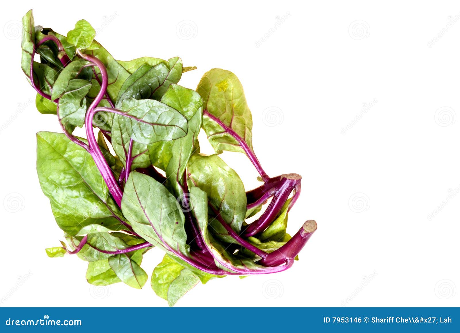 Emperor Vegetable Isolated stock photo. Image of leaf - 7953146