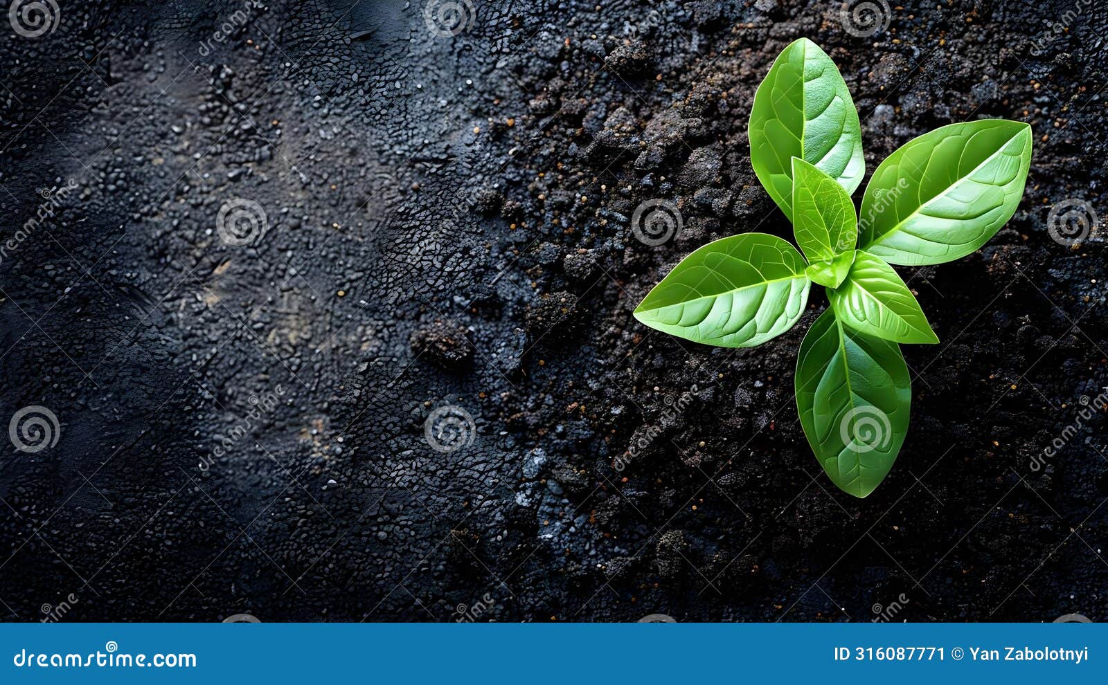 Emphasizing Sustainability and Responsibility: ESG Principles in ...