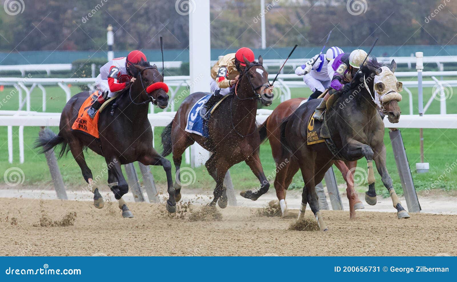 The Empire Distaff 2020 editorial photo. Image of equestrian - 200656731