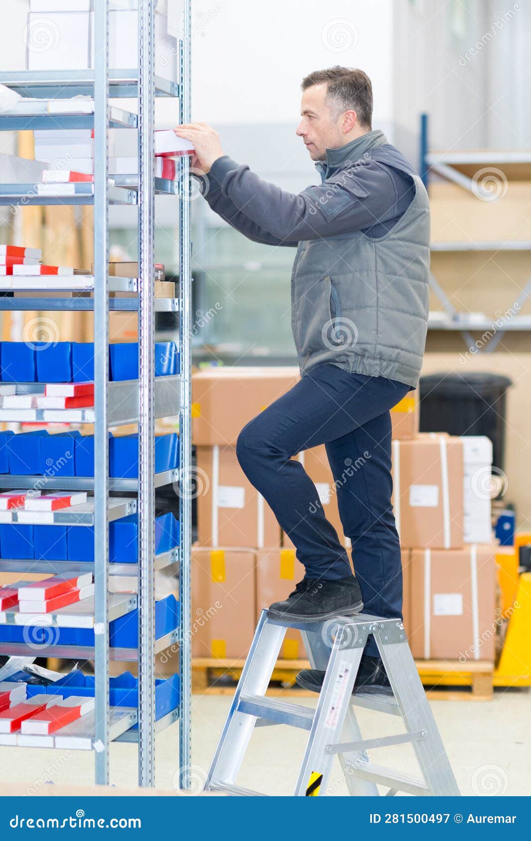 Employee Climbing Ladder in Distribution Warehouse Stock Image - Image ...
