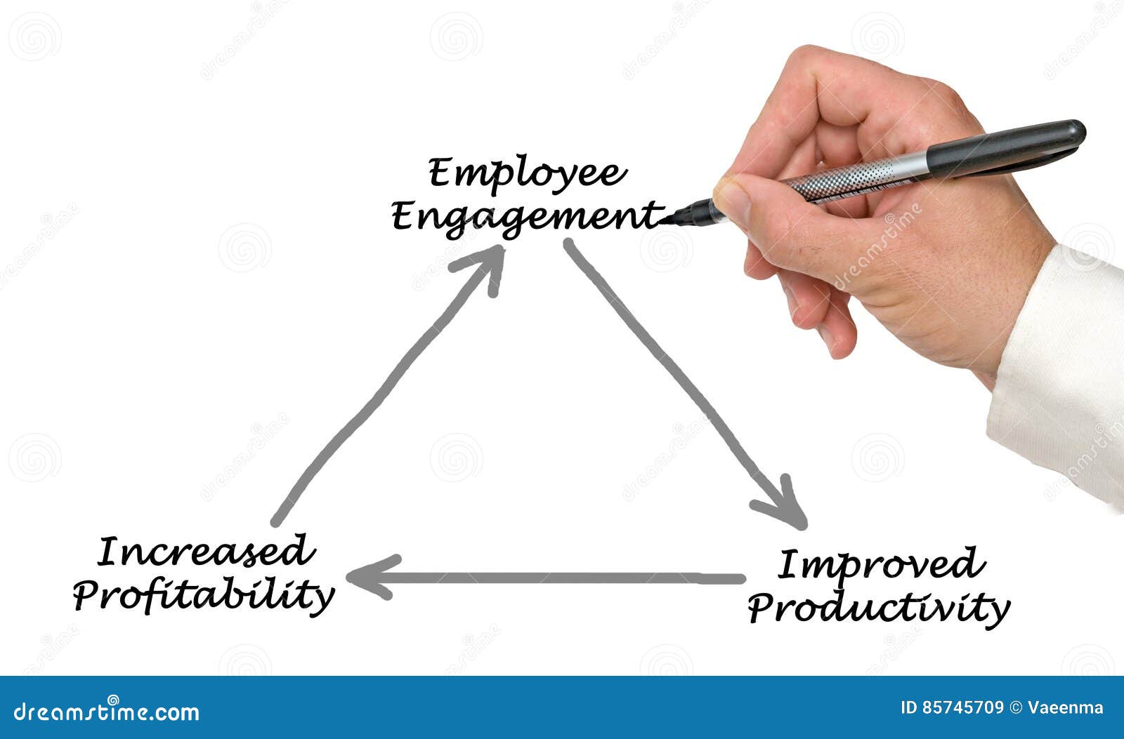 Employee Engagement Diagram Hand Drawing On Chalkboard Stock ...
