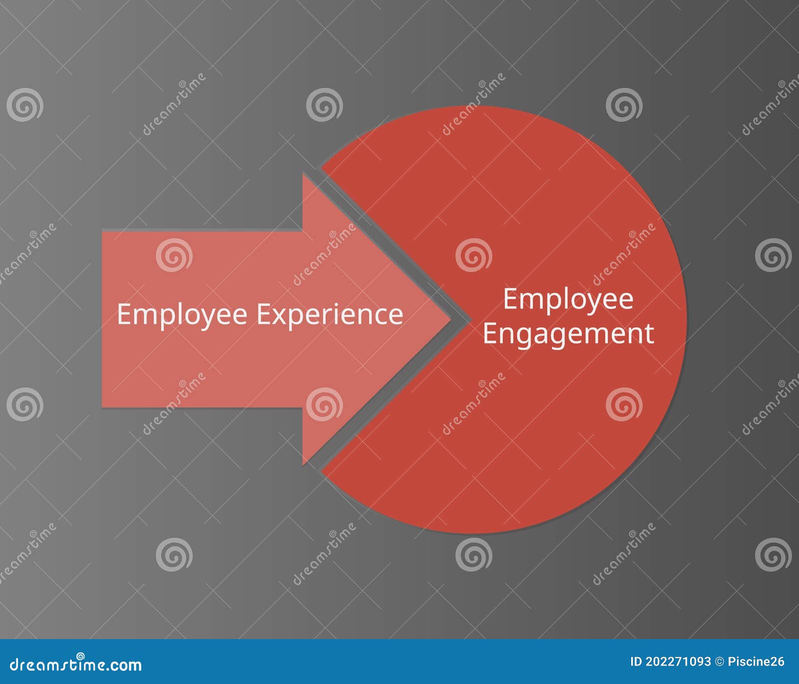 Employee Experience Vs Employee Engagement Vector Stock Vector ...