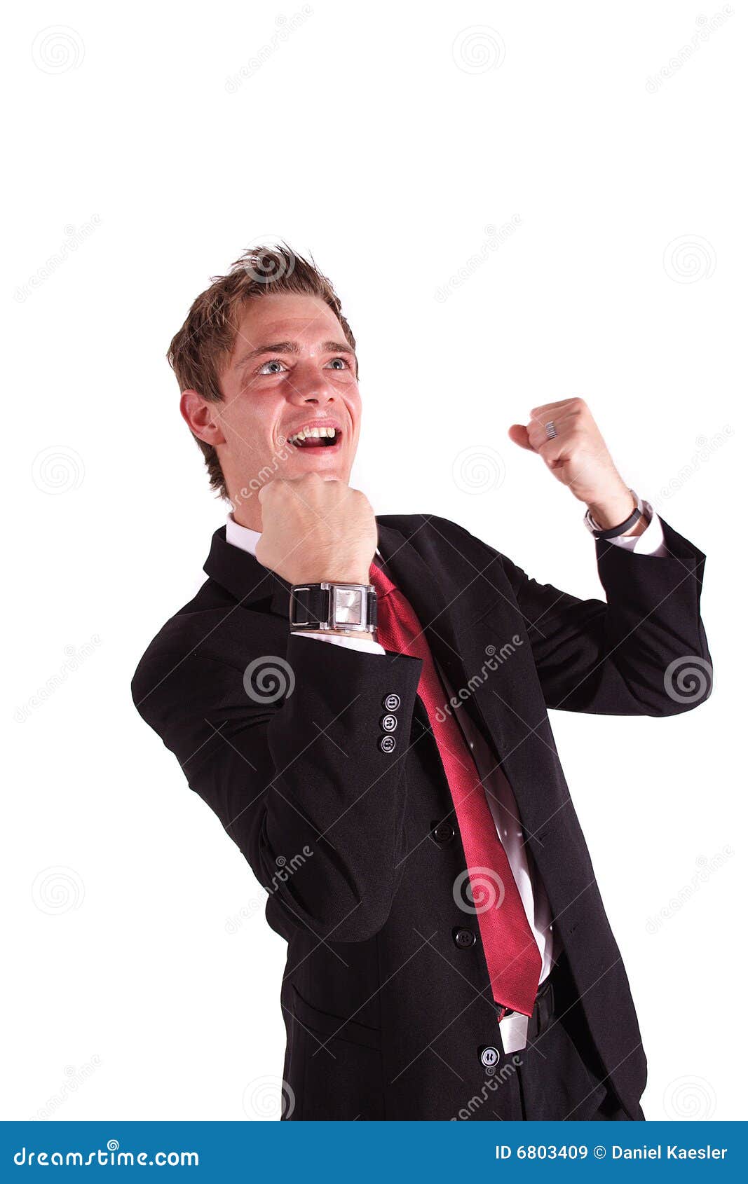 Employee jubilating stock image. Image of crow, isolated - 6803409