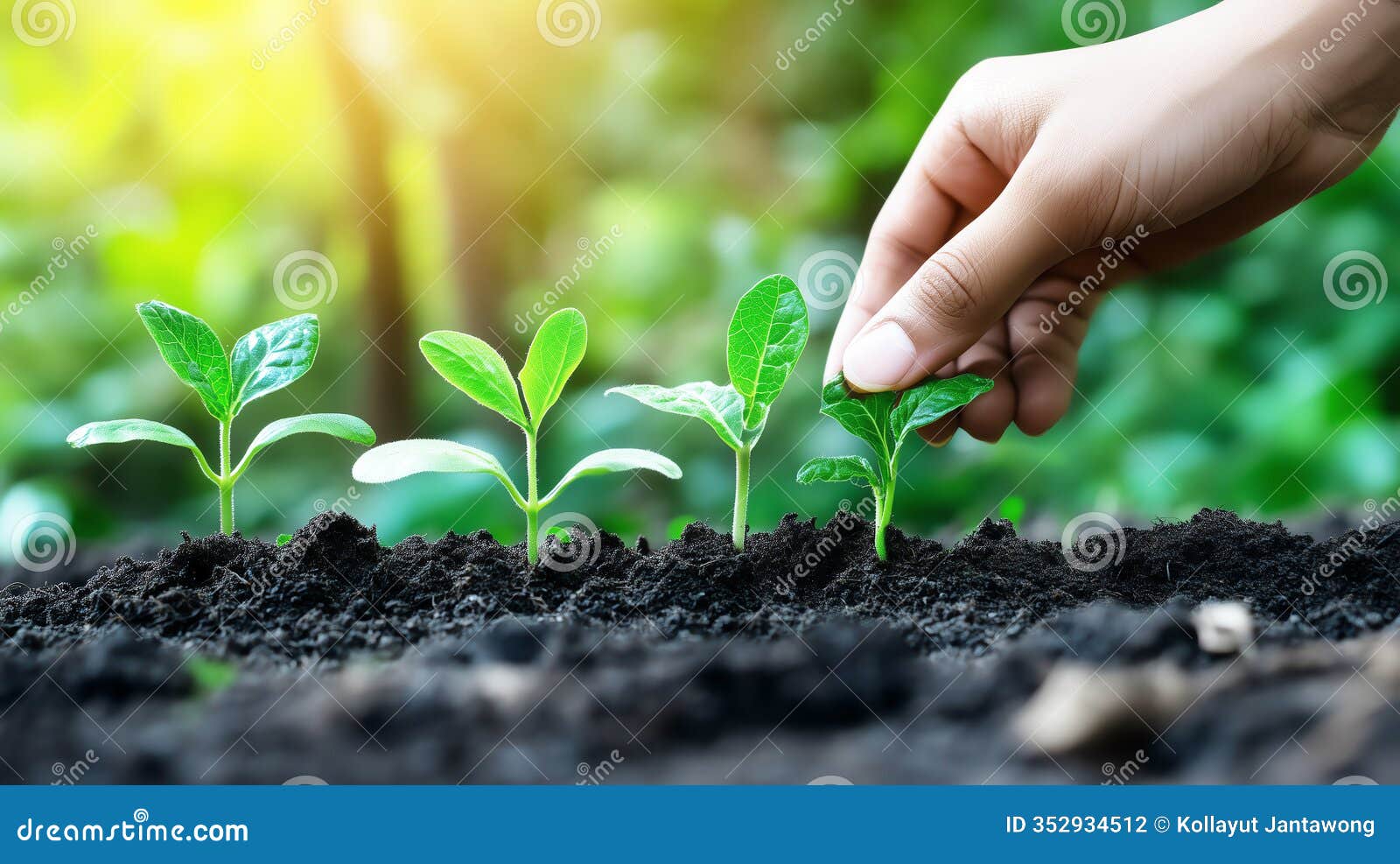 Employee Training for Sustainability: Highlight the Role of Effective ...