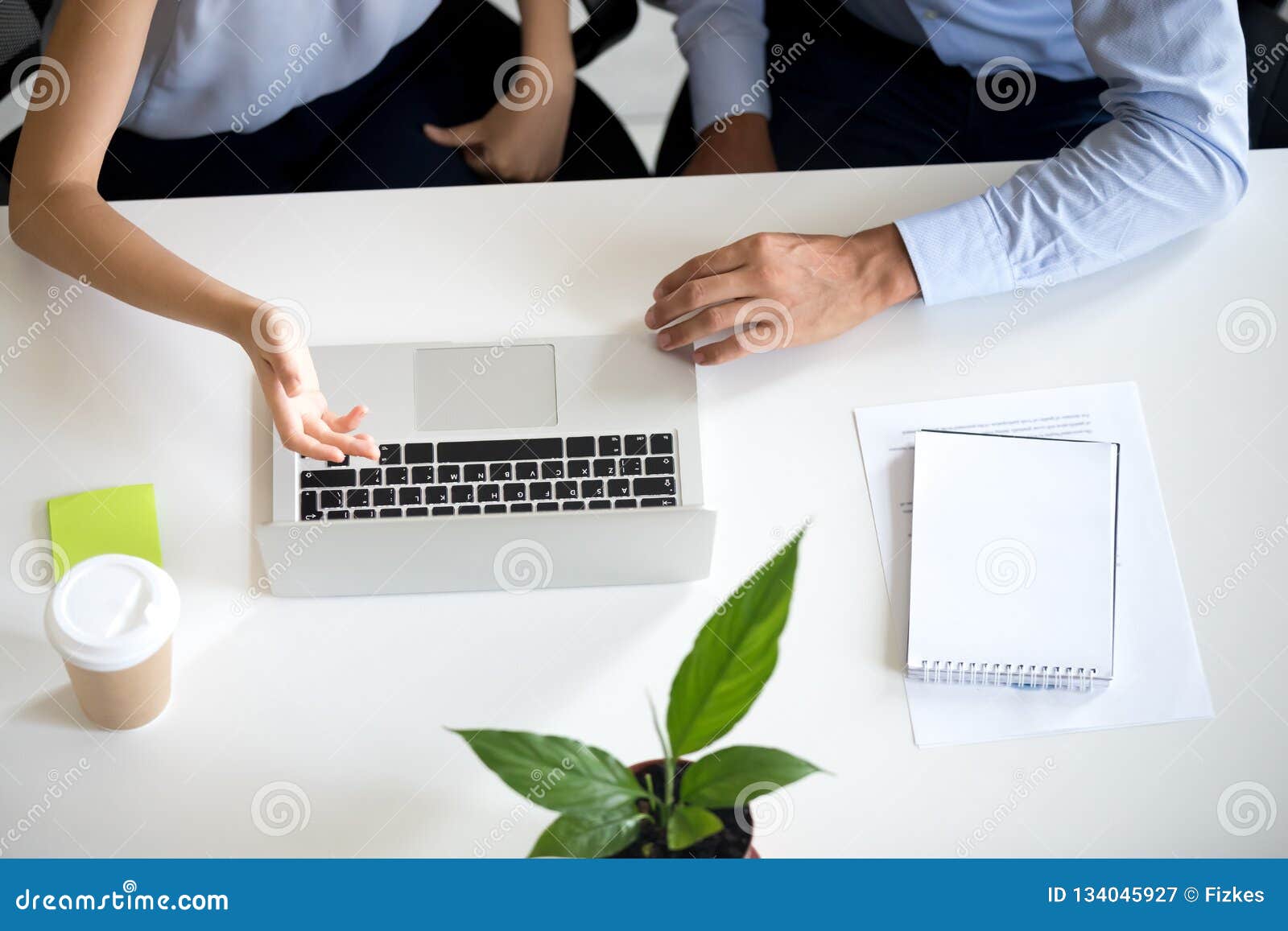 Employees Colleagues Using Laptop Together, Discuss Online Proje Stock ...