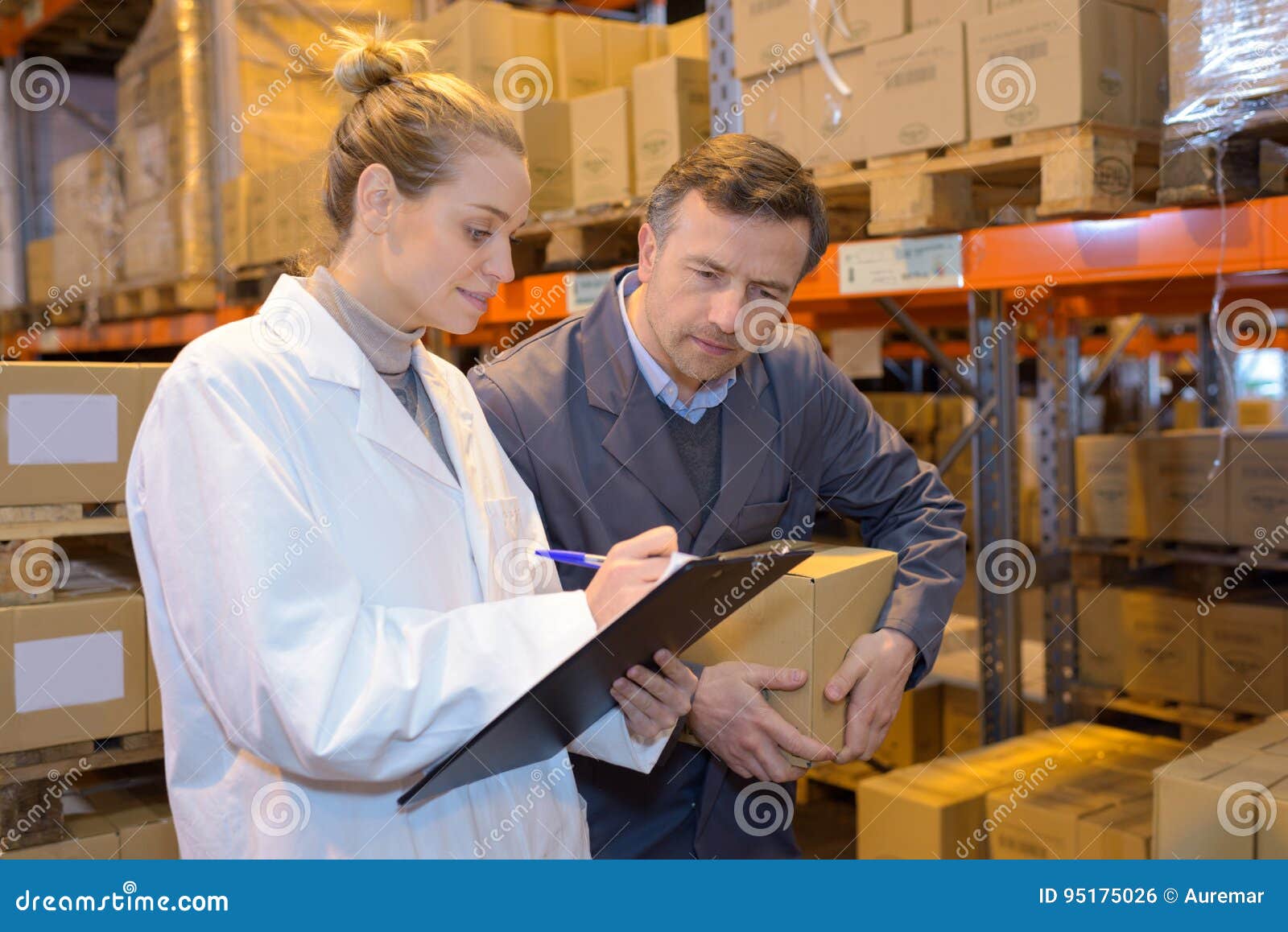Employees Hardware Store at Work Stock Photo - Image of shelf, indoors ...