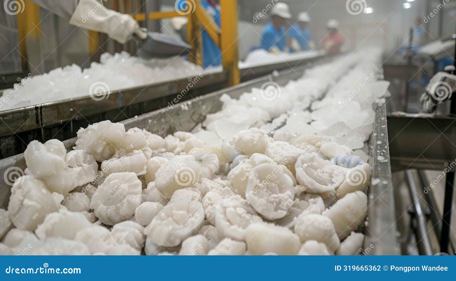 Employees Packaging Frozen Seafood on a Production Line in a Seafood ...