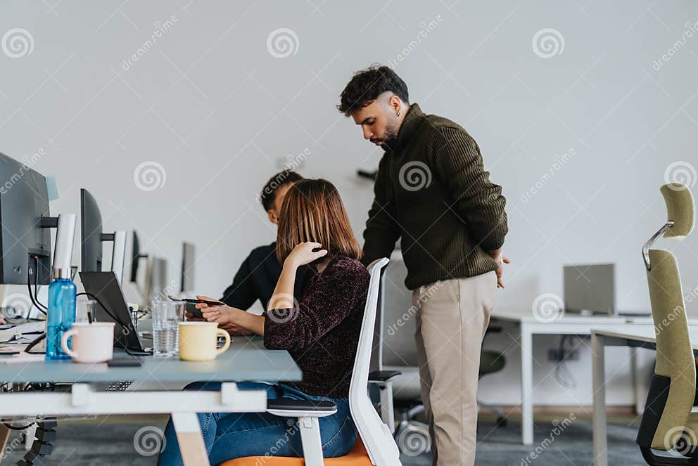 Employees Work Together on Project Development, Sharing Knowledge and ...