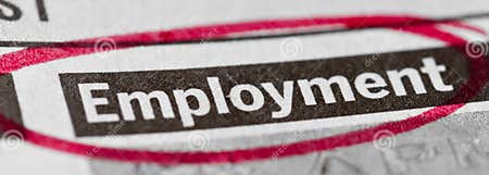 Employment stock photo. Image of employment, worker, employee - 20508162