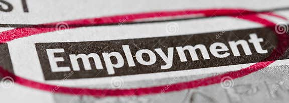 Employment stock photo. Image of employment, worker, employee - 20508162