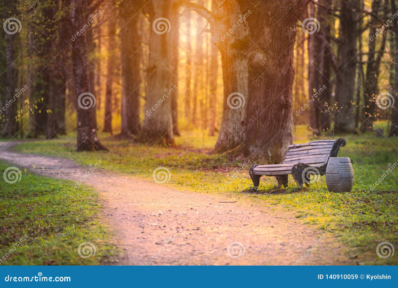 Emplty Curved Sand Forest Path at Sunset Stock Image - Image of park ...