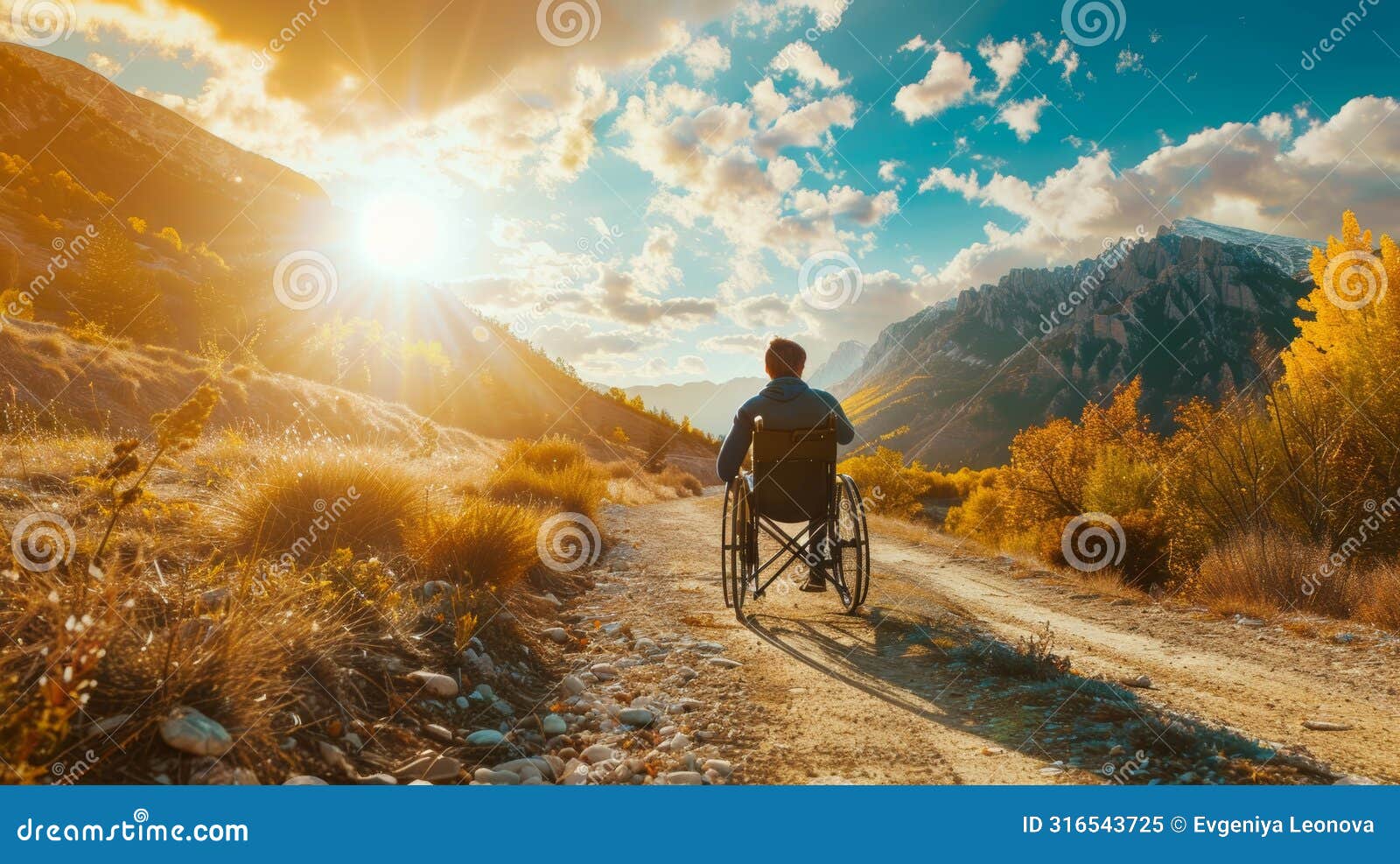 Empowering Triumphs Documenting Persons with Disabilities Surpassing ...