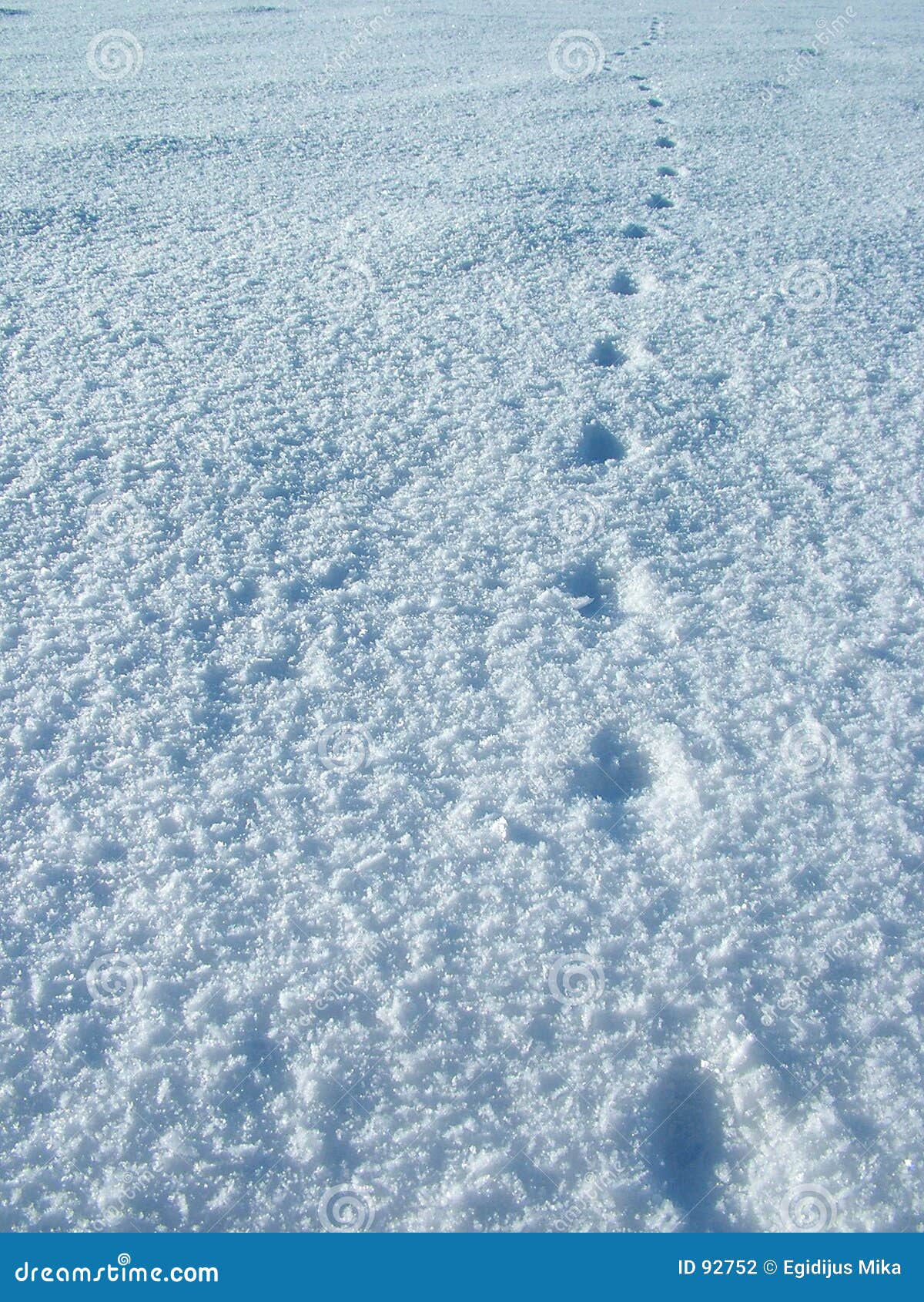 Empreinte de pas de chat photo stock. Image du scénique - 92752