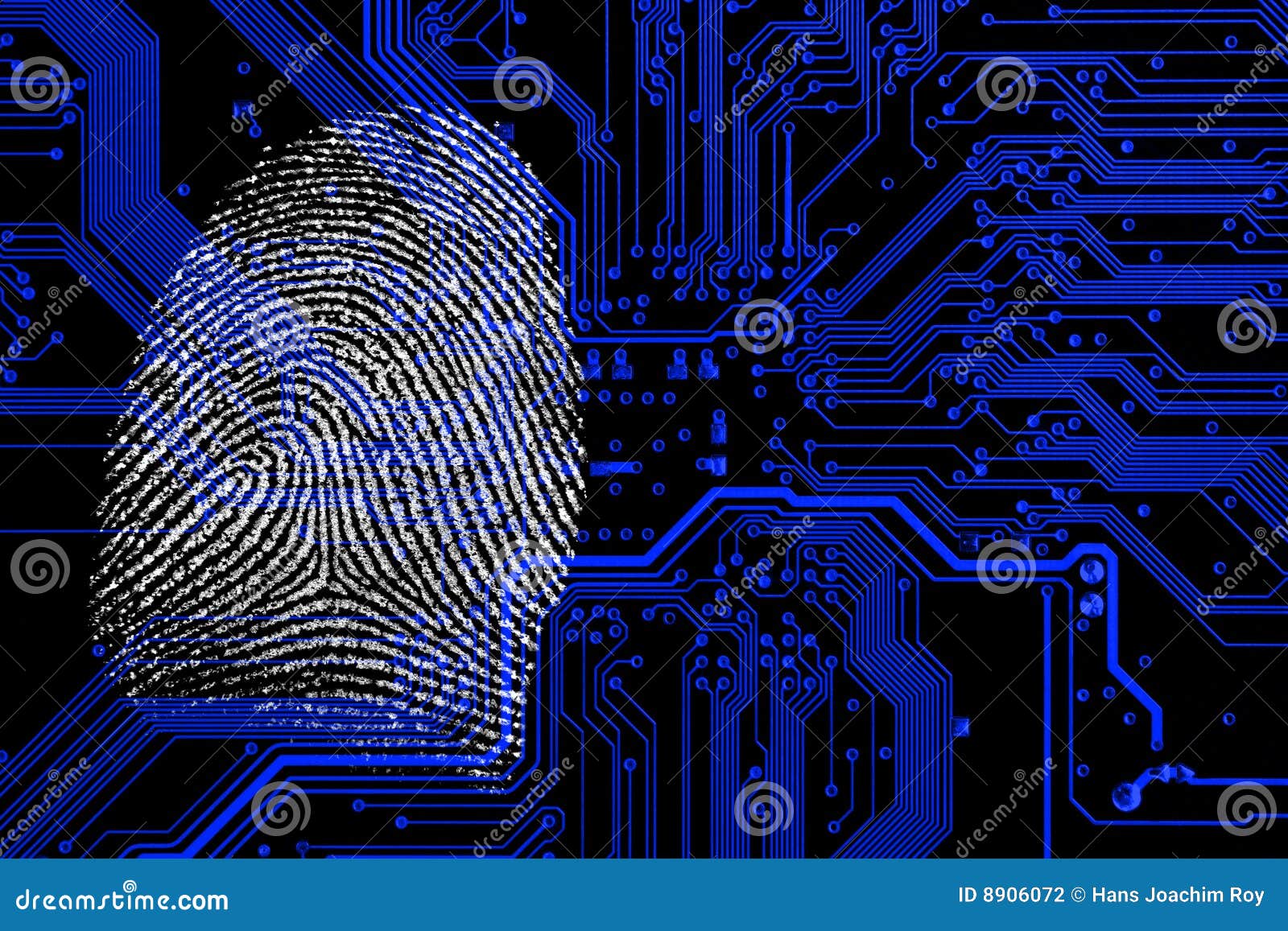 Empreinte Digitale De Digitals Photo stock - Image du horizontal ...