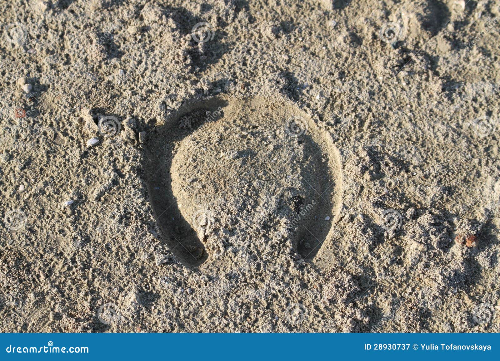 Empreinte en fer à cheval image stock. Image du earth - 28930737