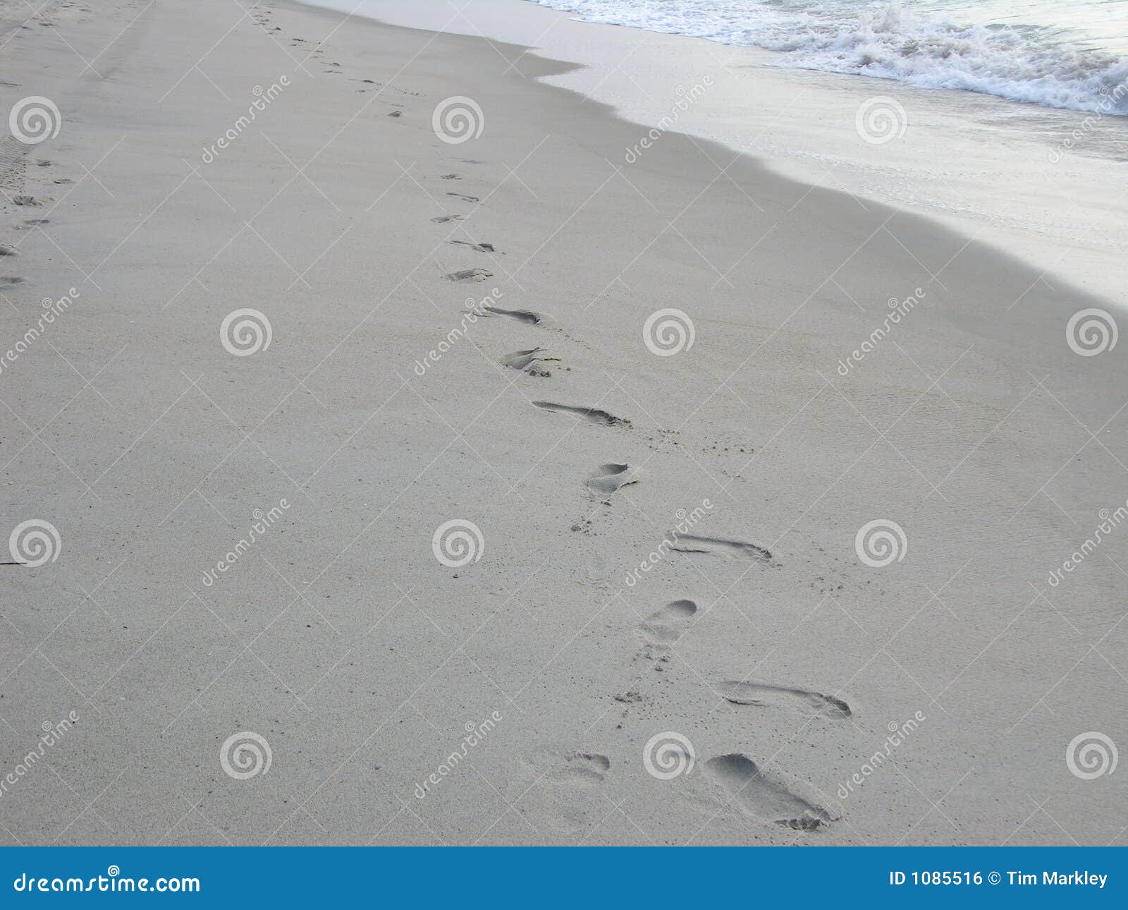 Empreintes De Pas Sur La Plage Photo stock - Image du été, promenade ...