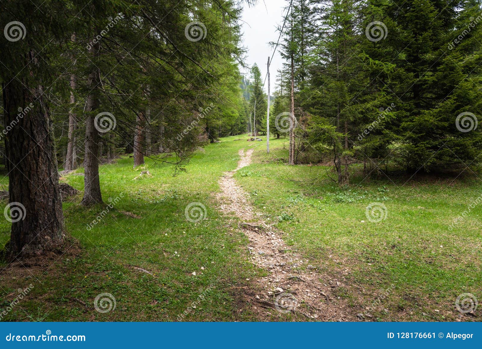 Empty Alpine Trail in Spring Stock Image - Image of park, gravel: 128176661