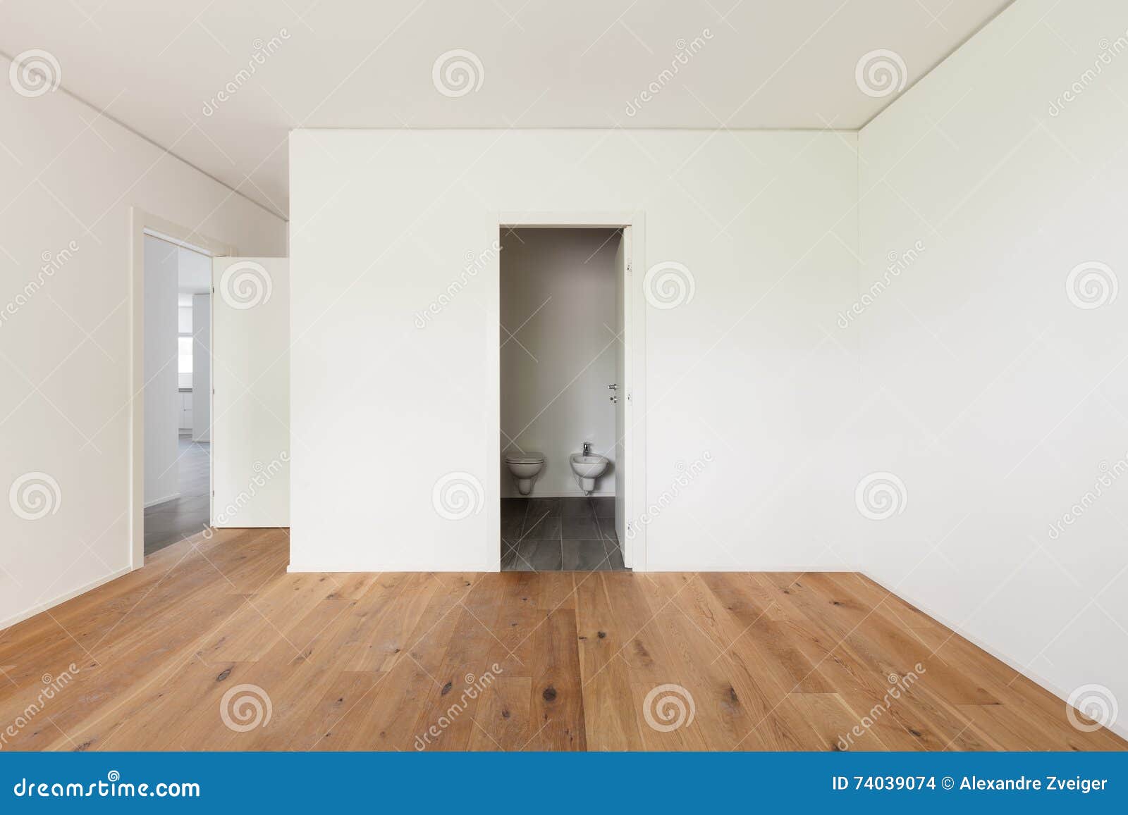 Empty apartment, room stock photo. Image of view, ceiling - 74039074