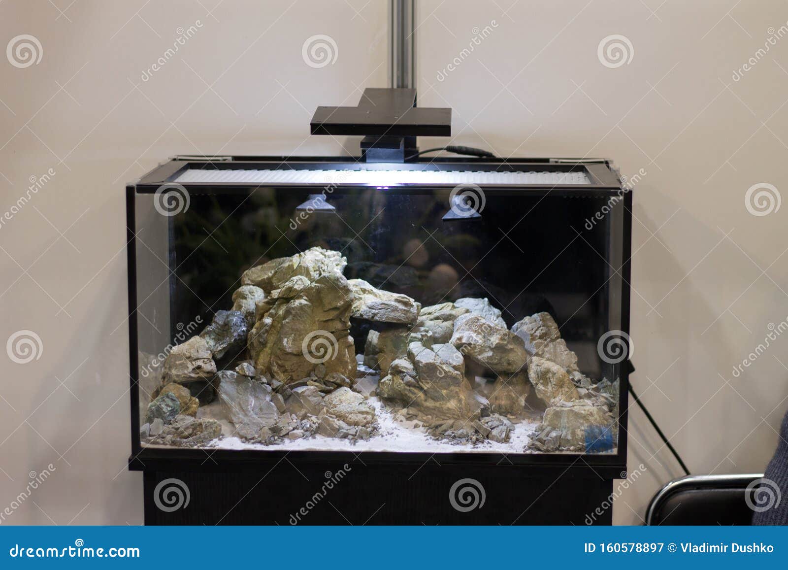 Empty aquarium with stones stock image. Image of closeup - 160578897