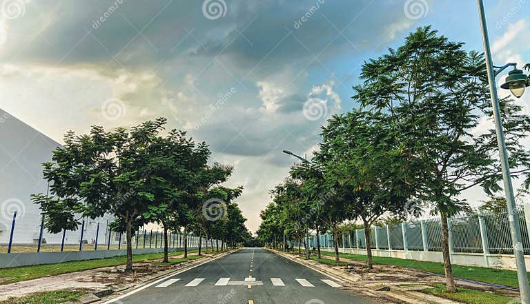 An Empty Asphalt Road in a Industrial Zone with Trees on Sidewalks in ... An Empty Asphalt Road in a Industrial Zone with Trees on Sidewalks in ...