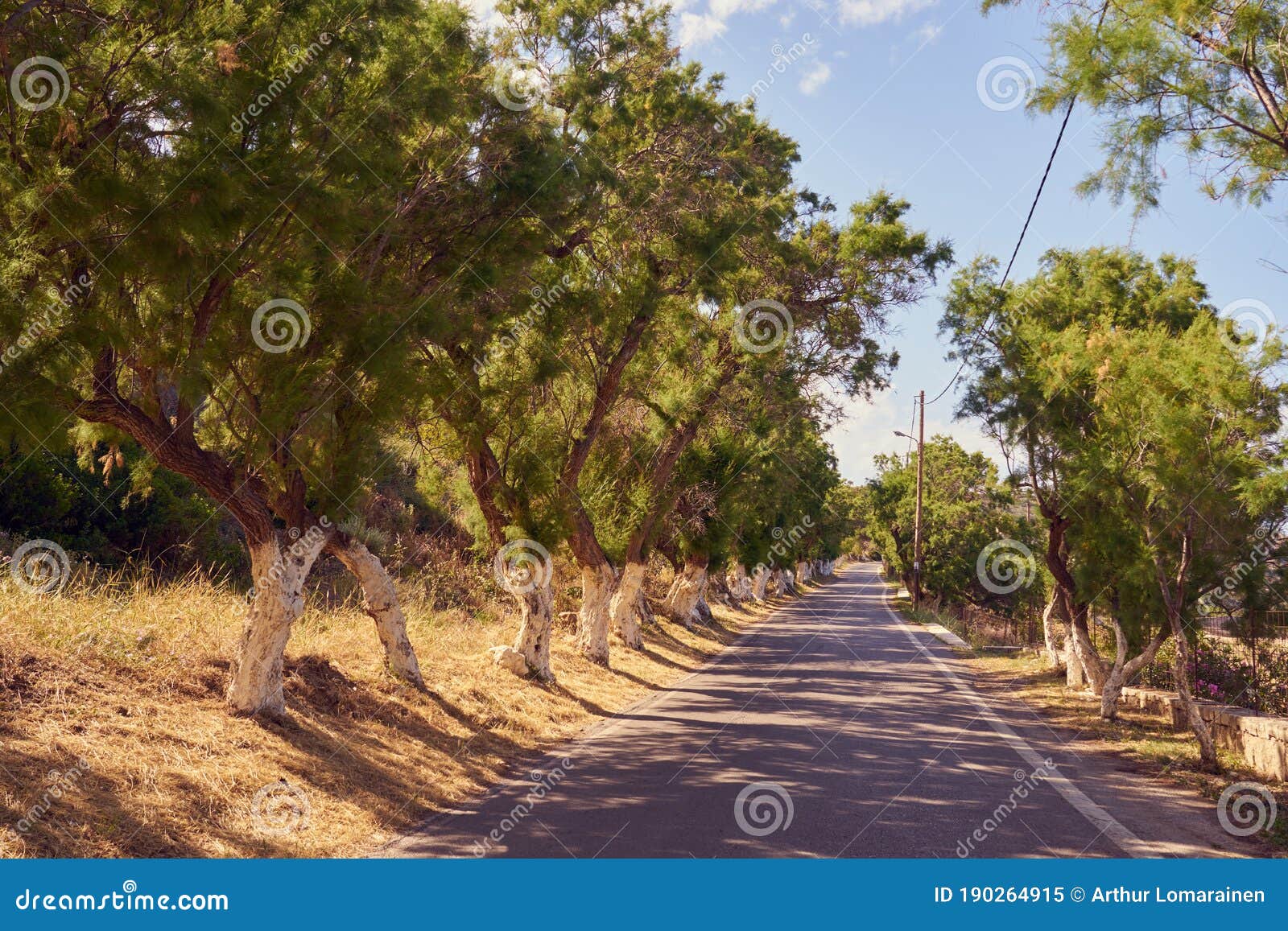 Empty Asphalt Road in Shade of Trees in Crete, Greece. Stock Image ...