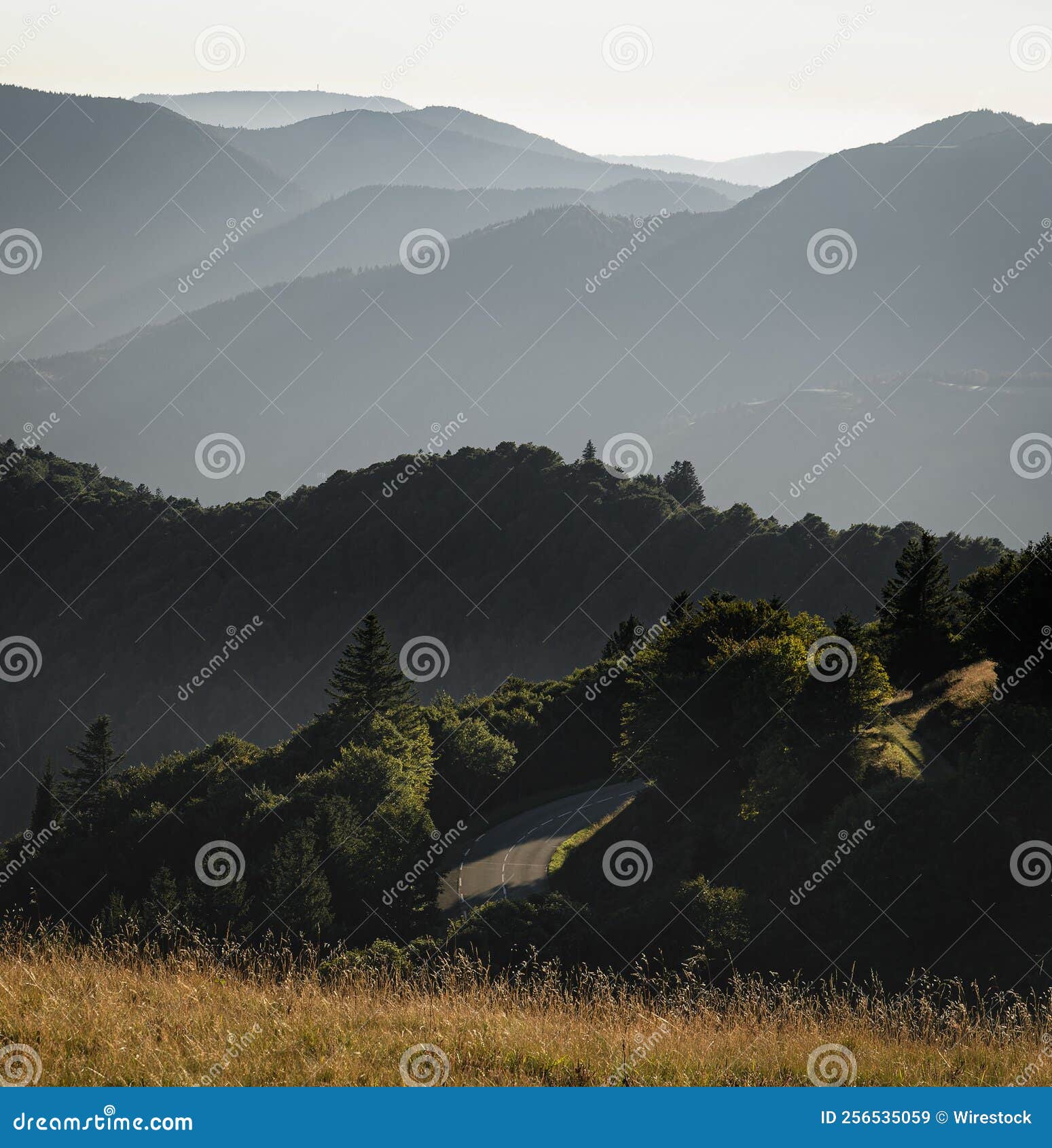 Empty Asphalt Route Des Cretes Road in the Vosges Mountains Stock Image ...