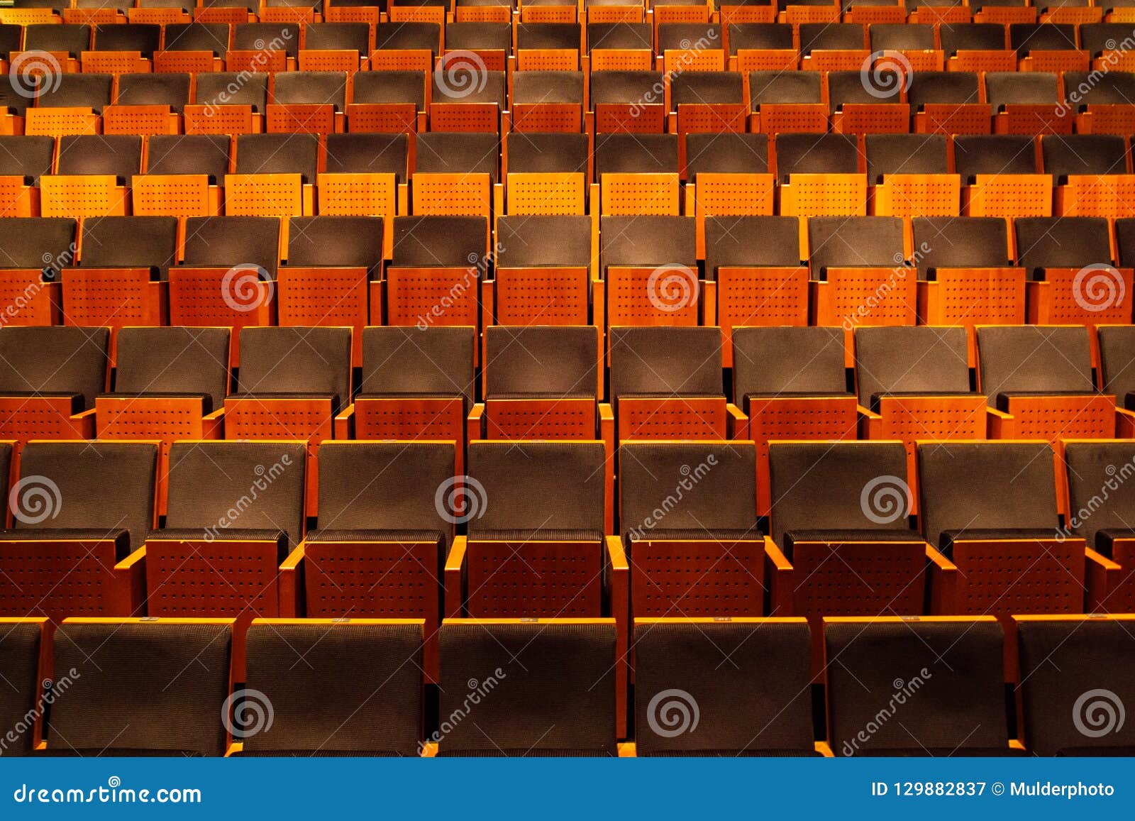 Empty Auditorium, Rows of Chairs Stock Image - Image of business ...