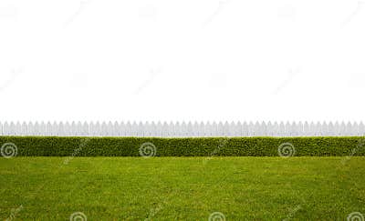 Empty backyard stock photo. Image of gardening, hedge - 70435050