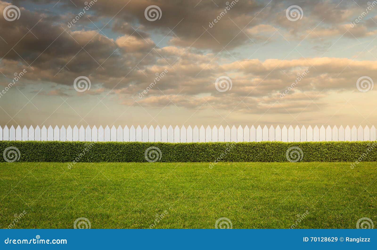 Empty Backyard Royalty-Free Stock Photography | CartoonDealer.com #70128629