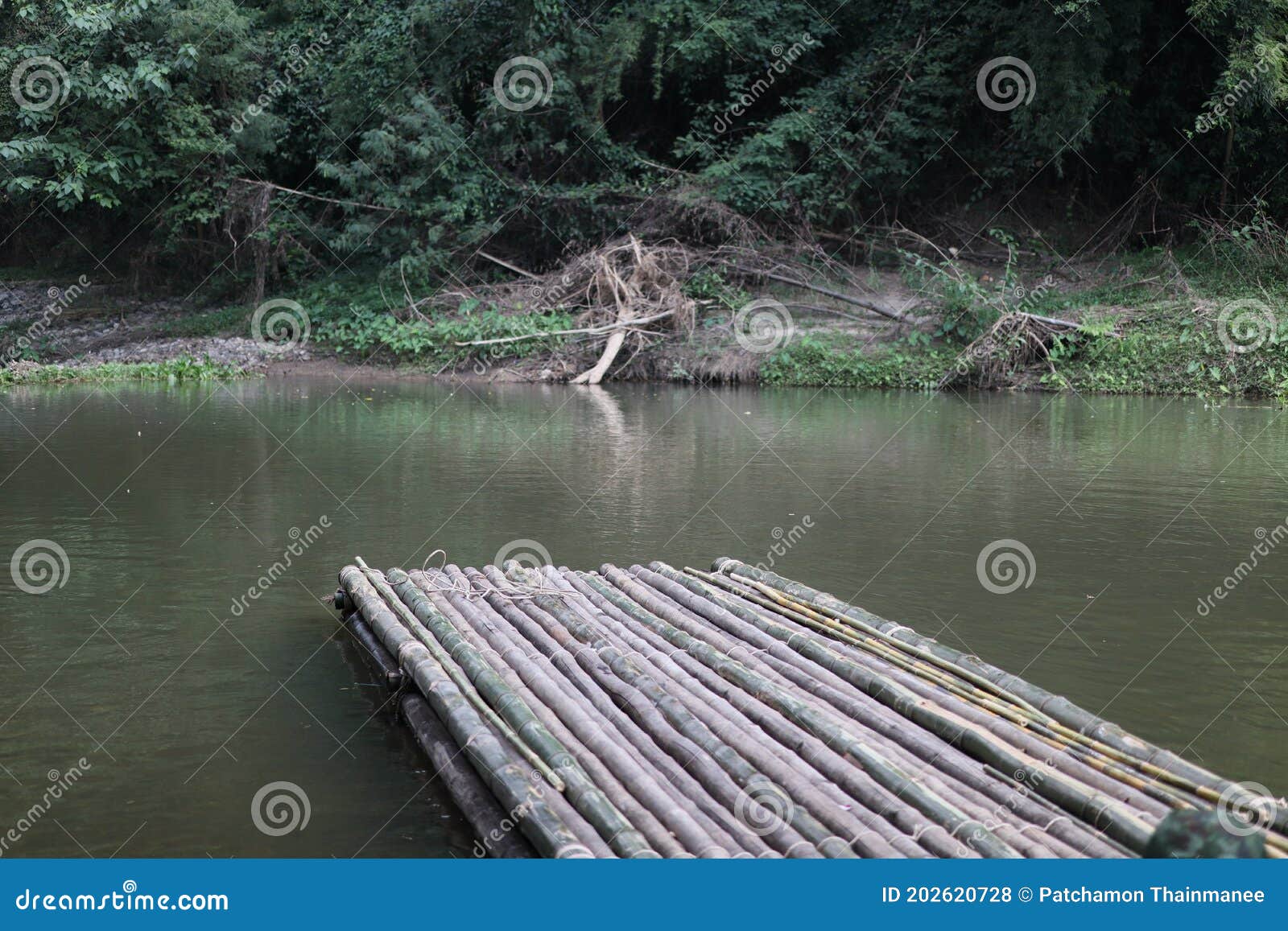 An Empty Bamboo Raft Down the River in Ratchaburi, Thailand in the ...