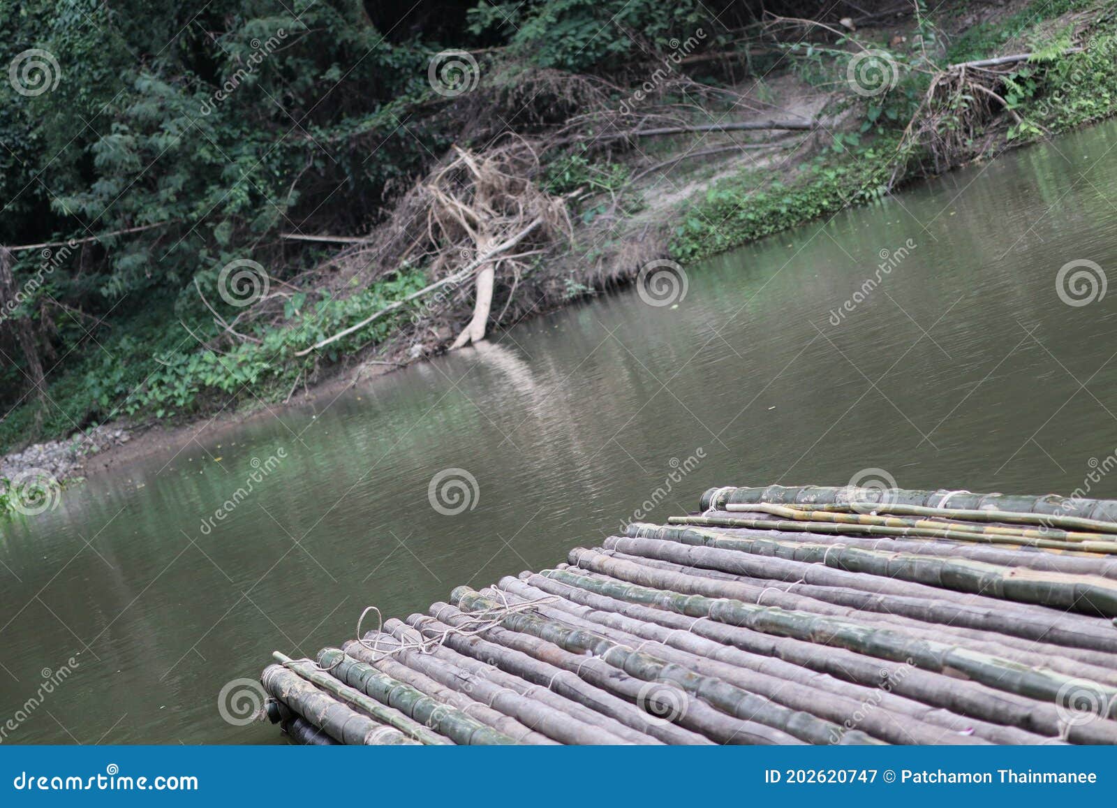 An Empty Bamboo Raft Down the River in Ratchaburi, Thailand in the ...