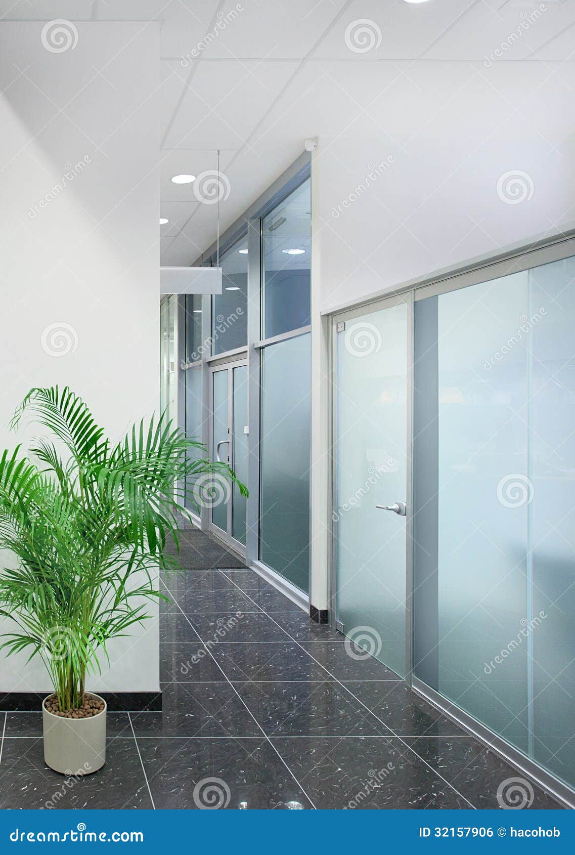 Empty bank office stock photo. Image of white, light - 32157906
