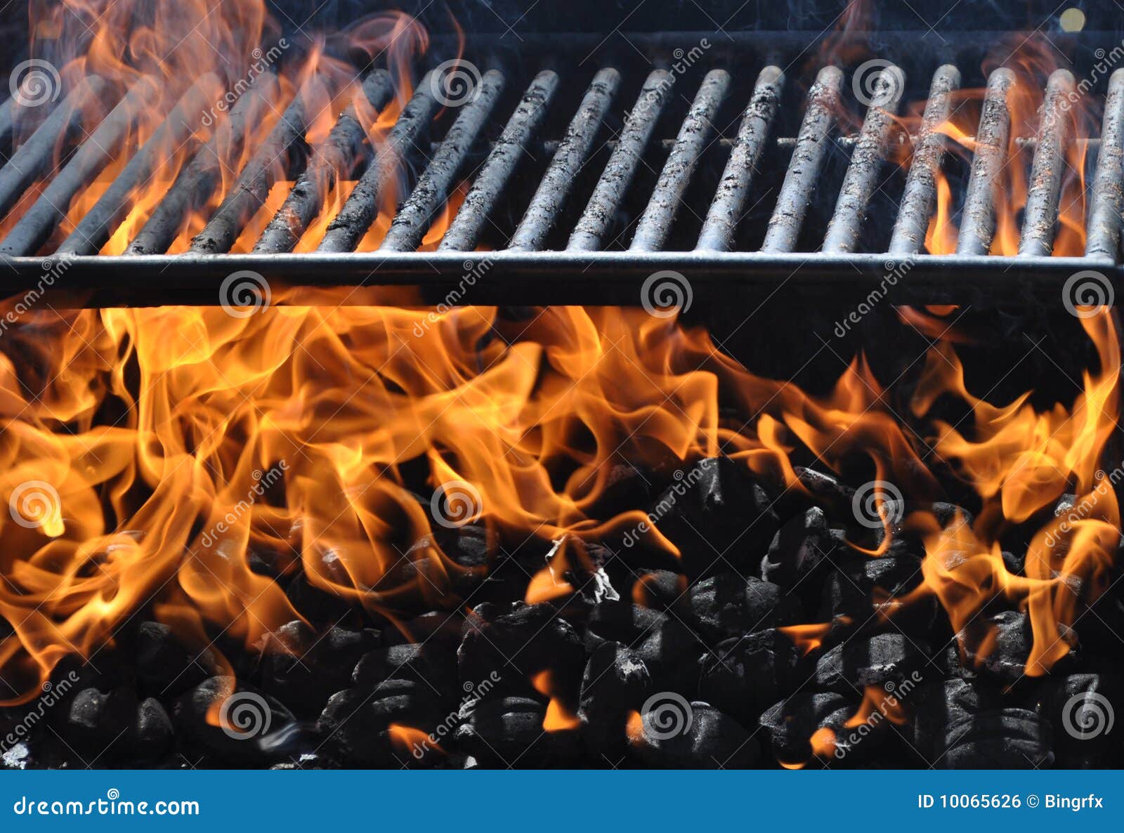 Empty Barbecue Grill stock photo. Image of barbecue, grill - 10065626