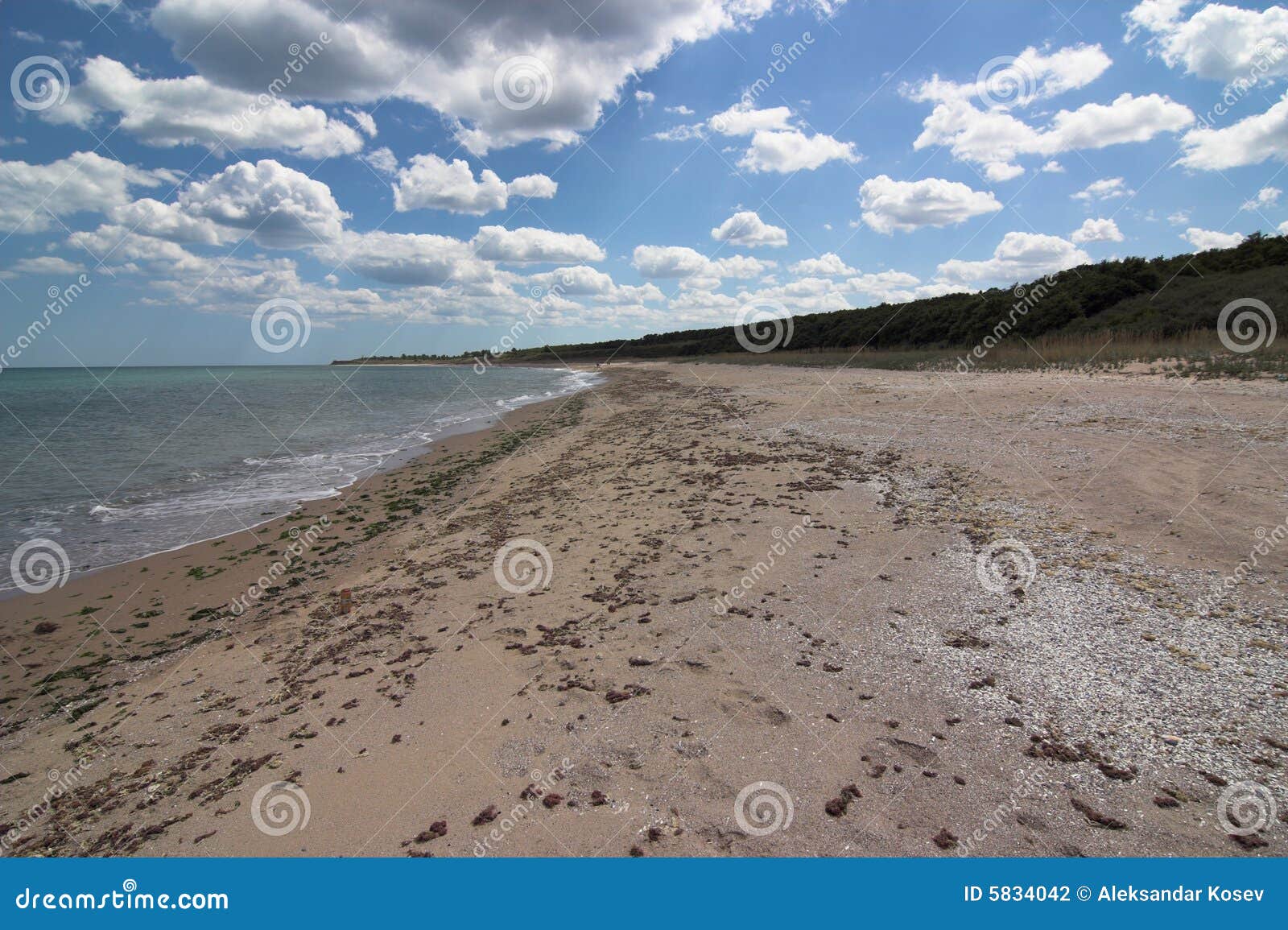 Empty beach stock photo. Image of destination, relaxing - 5834042