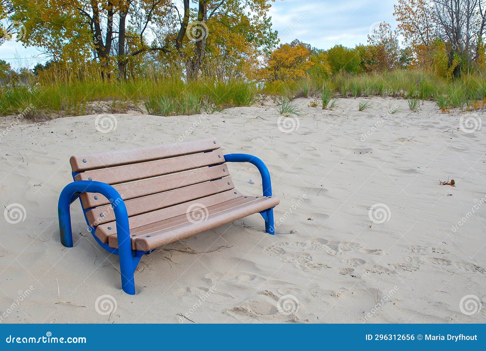 Beach Bench in a Sand Dune stock photo. Image of beautiful - 296312656