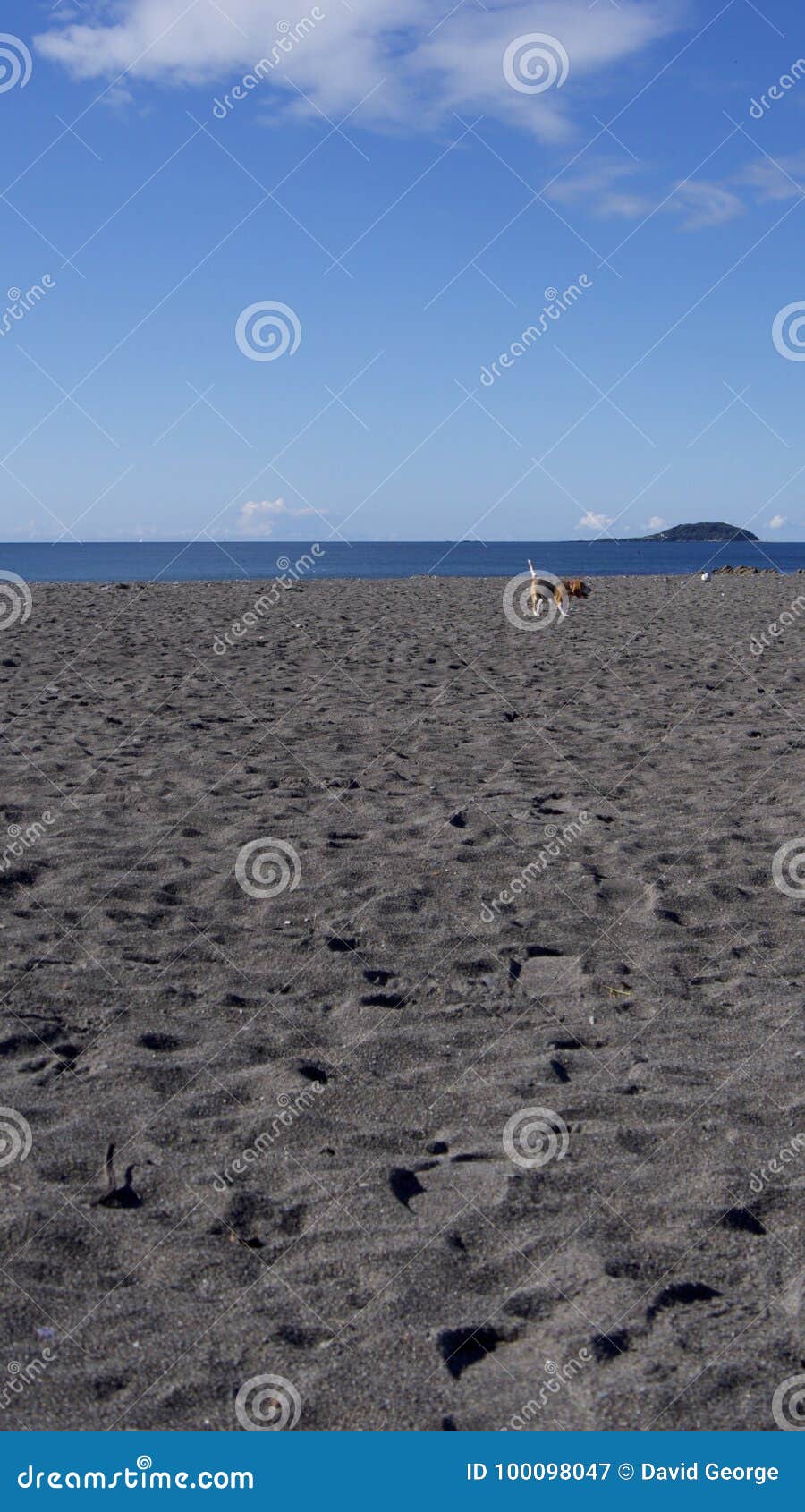 September at the beach stock image. Image of september - 100098047
