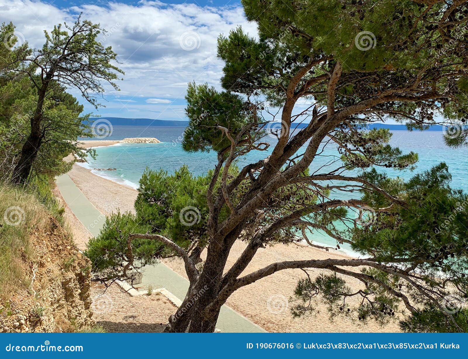 Empty Beach in Dalmatia with Typical Croatian Pine Trees Stock Photo ...