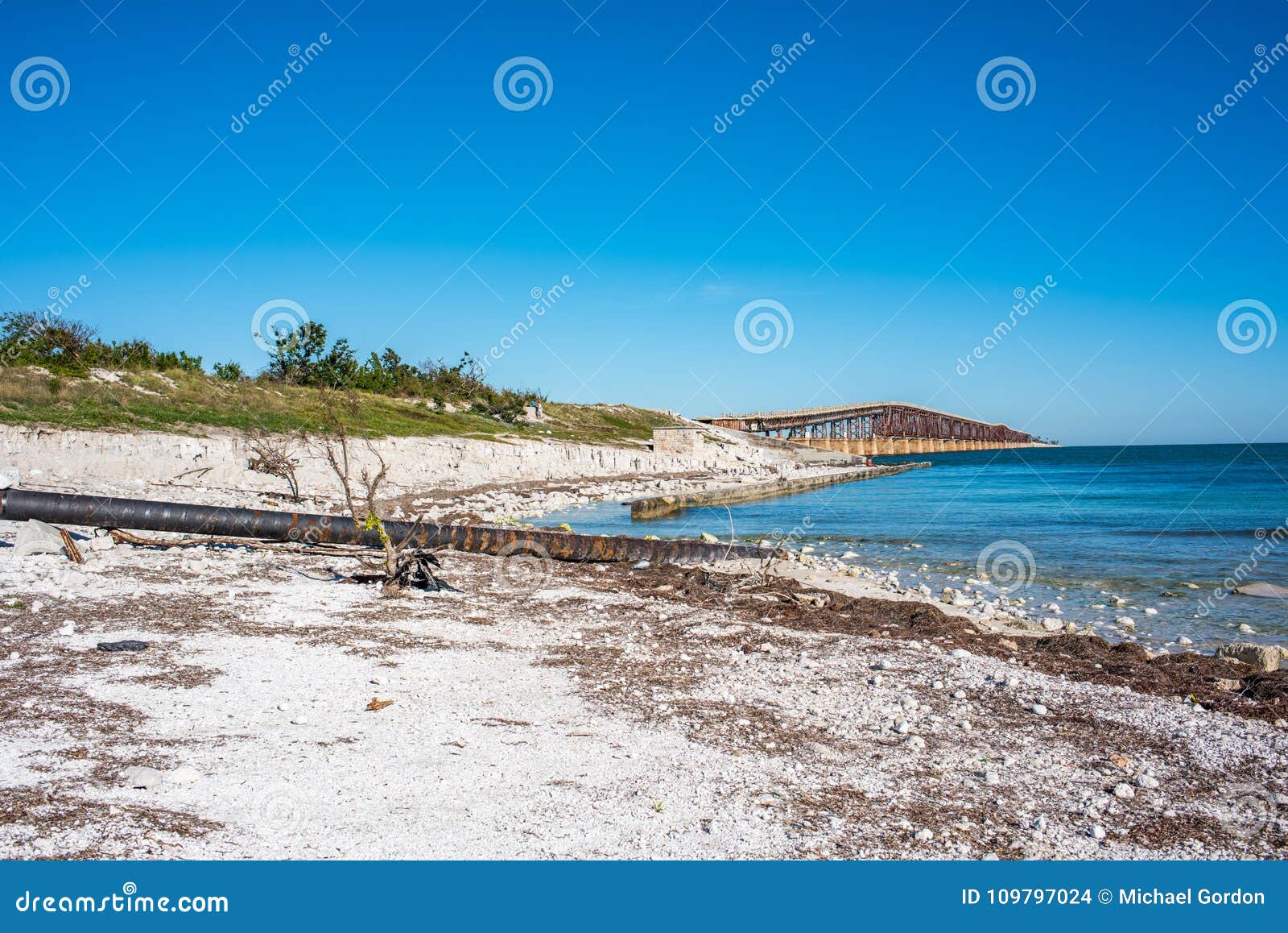 Empty Beach in Florida stock photo. Image of nature - 109797024