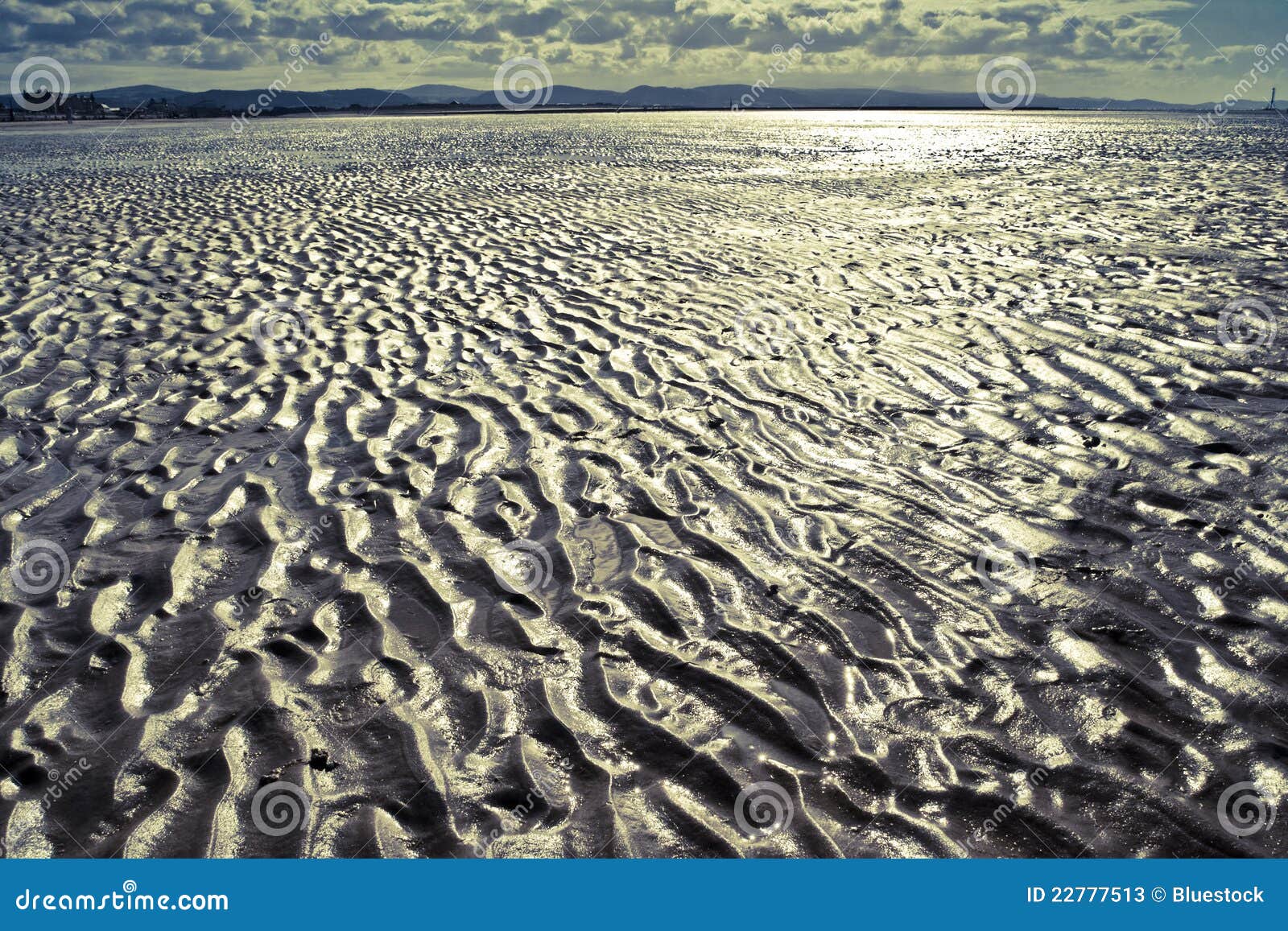 Empty Beach Sand Dunes at Low Tide Stock Image - Image of nature, coast ...