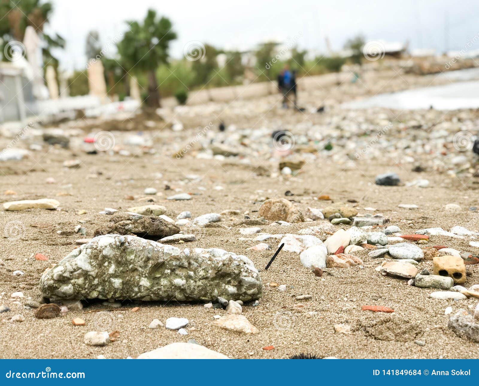 Empty Beach with Trash on it Stock Photo - Image of messy, dirty: 141849684