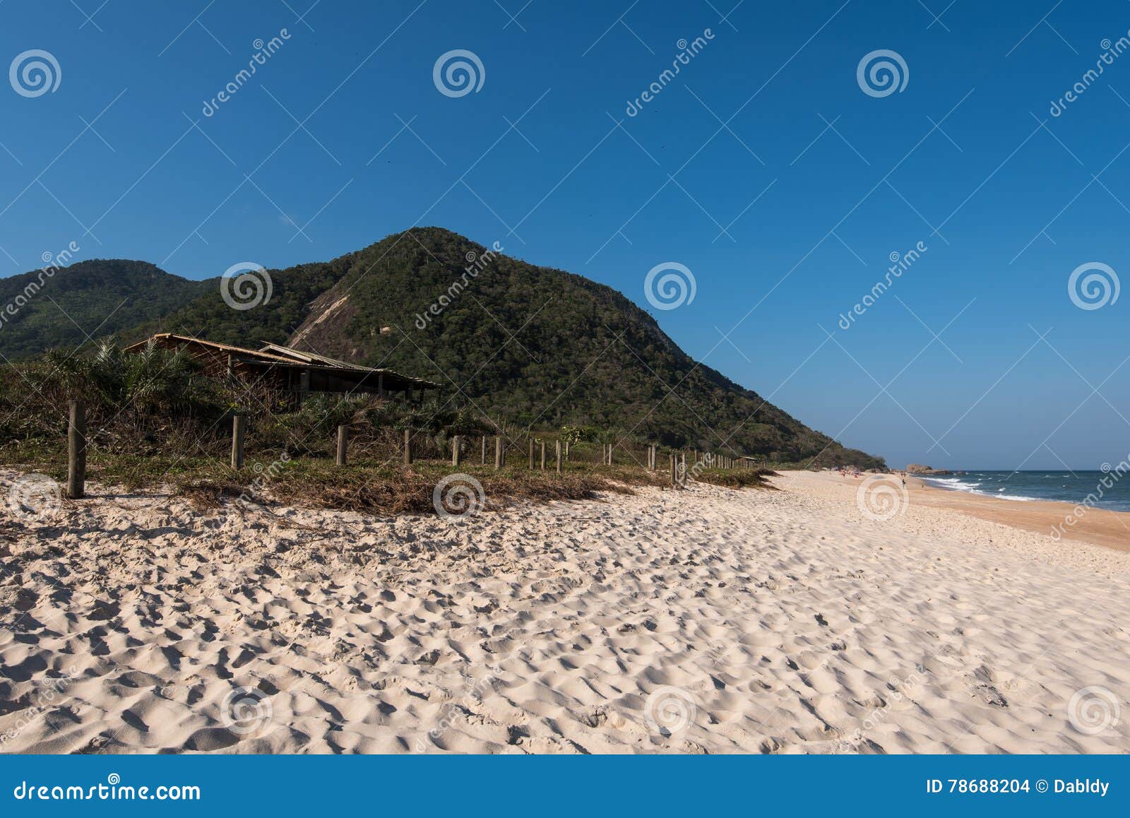 Empty Beach stock photo. Image of landscape, green, outdoors - 78688204