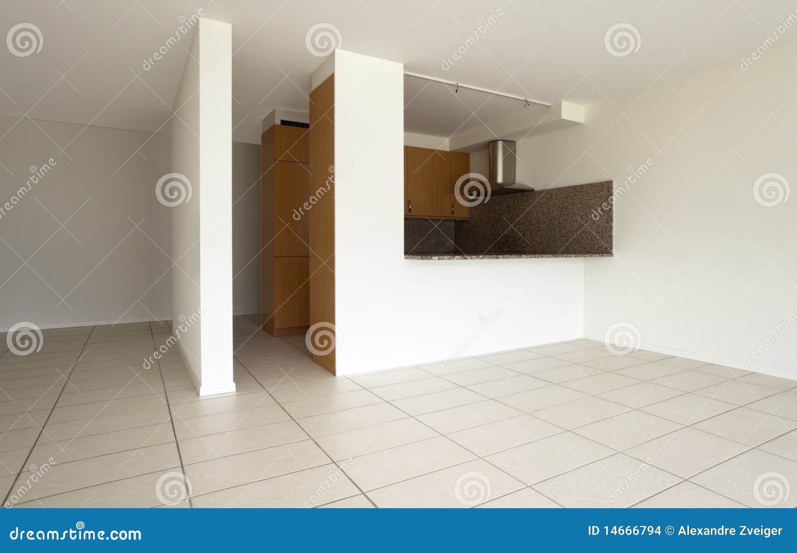 Empty beautiful flat stock photo. Image of design, room - 14666794