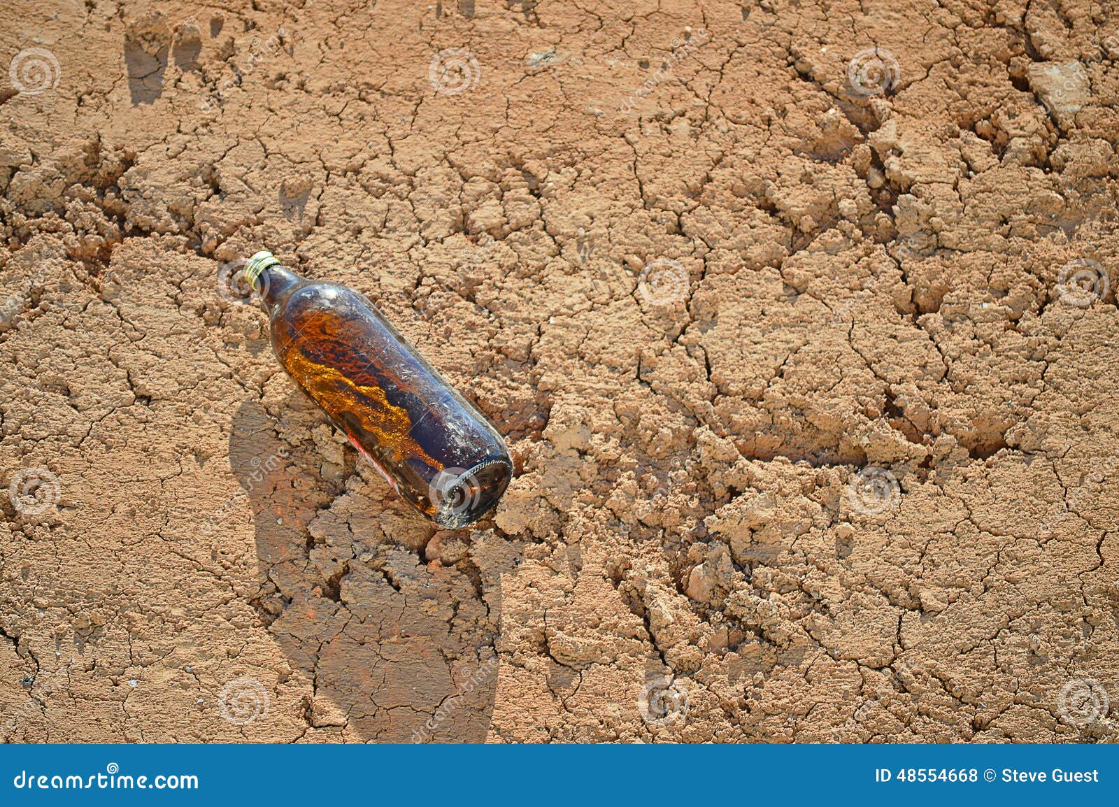 Beer Bottle - Empty Drink Litter Discarded Rubbish Stock Photo - Image ...
