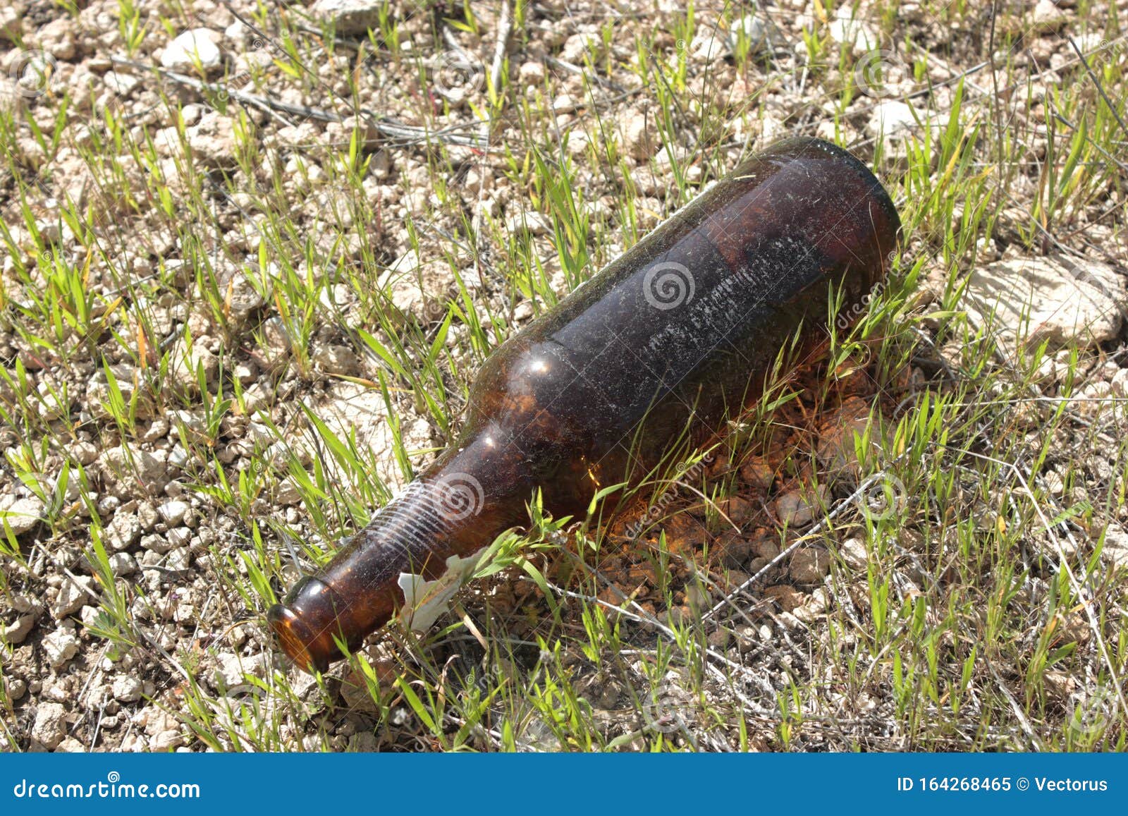 Empty Beer Bottle on the Ground Stock Image - Image of summer, beverage ...