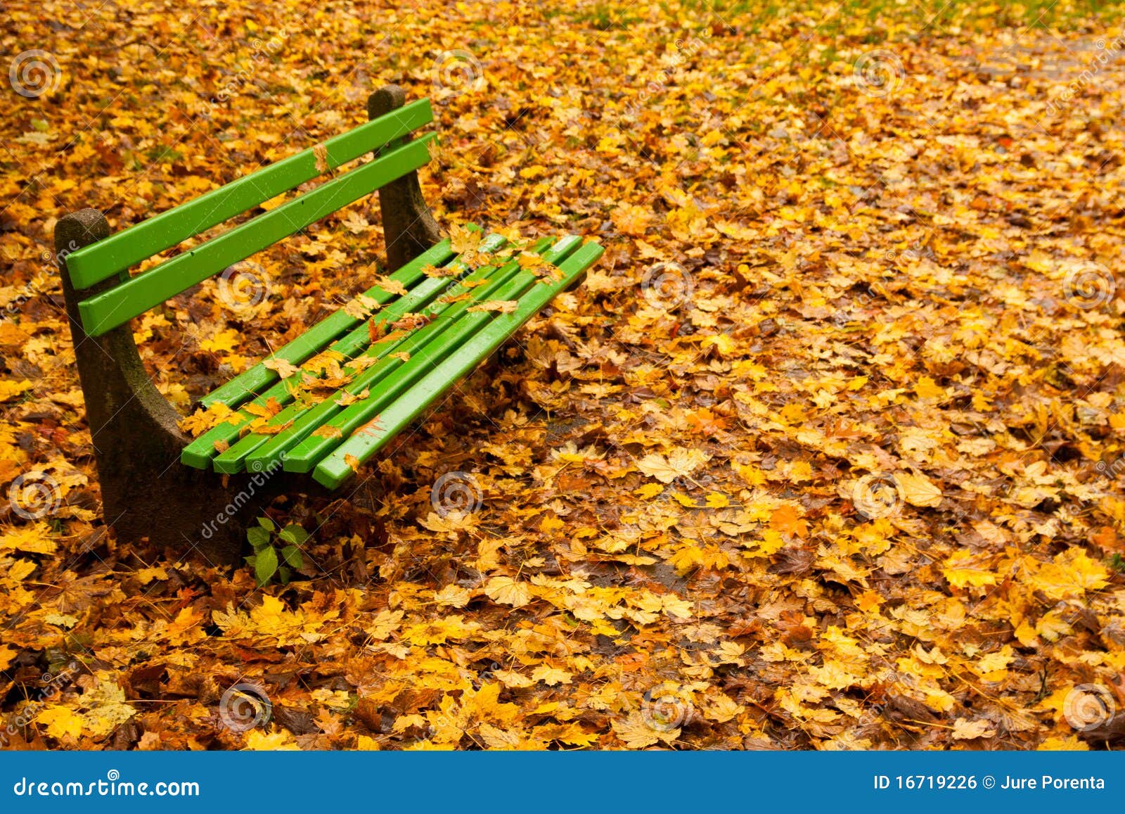 Empty bench in autumn stock photo. Image of tree, scene - 16719226