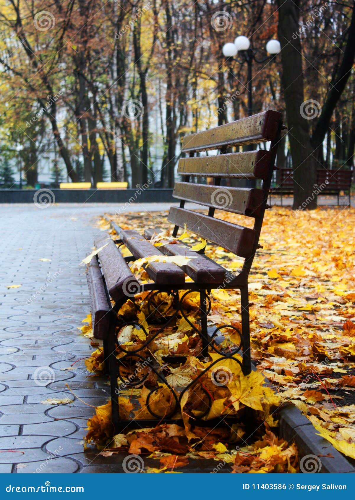 Empty Bench in a Autumn Park Stock Photo - Image of autumn, silence ...