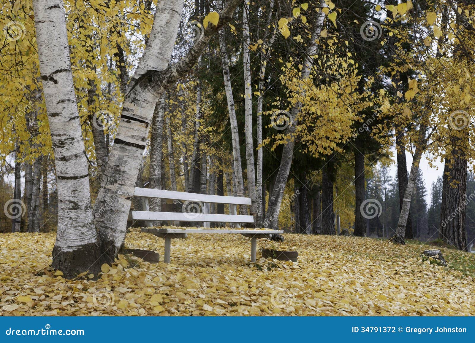 Empty Bench in Autumn Park. Stock Photo - Image of empty, scenic: 34791372
