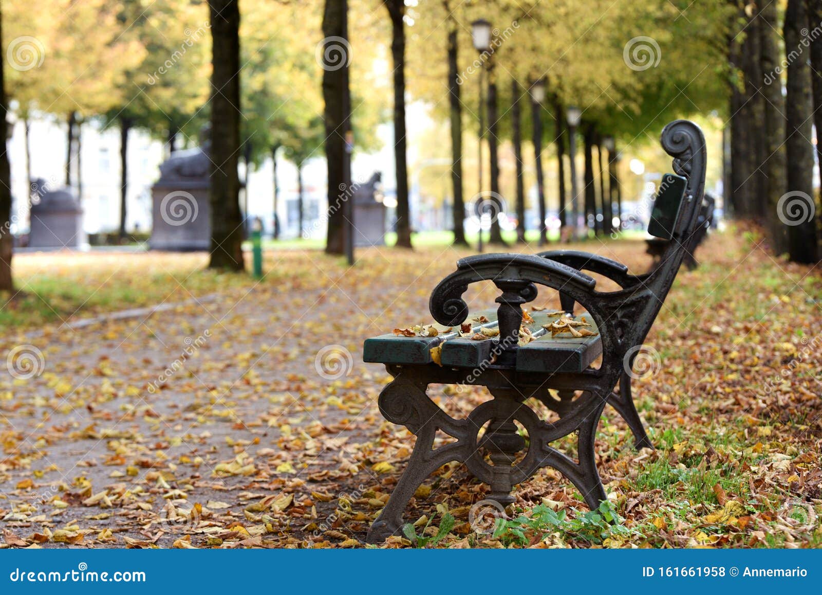 Empty Bench in an Autumn Park Stock Photo - Image of capture, colourful ...