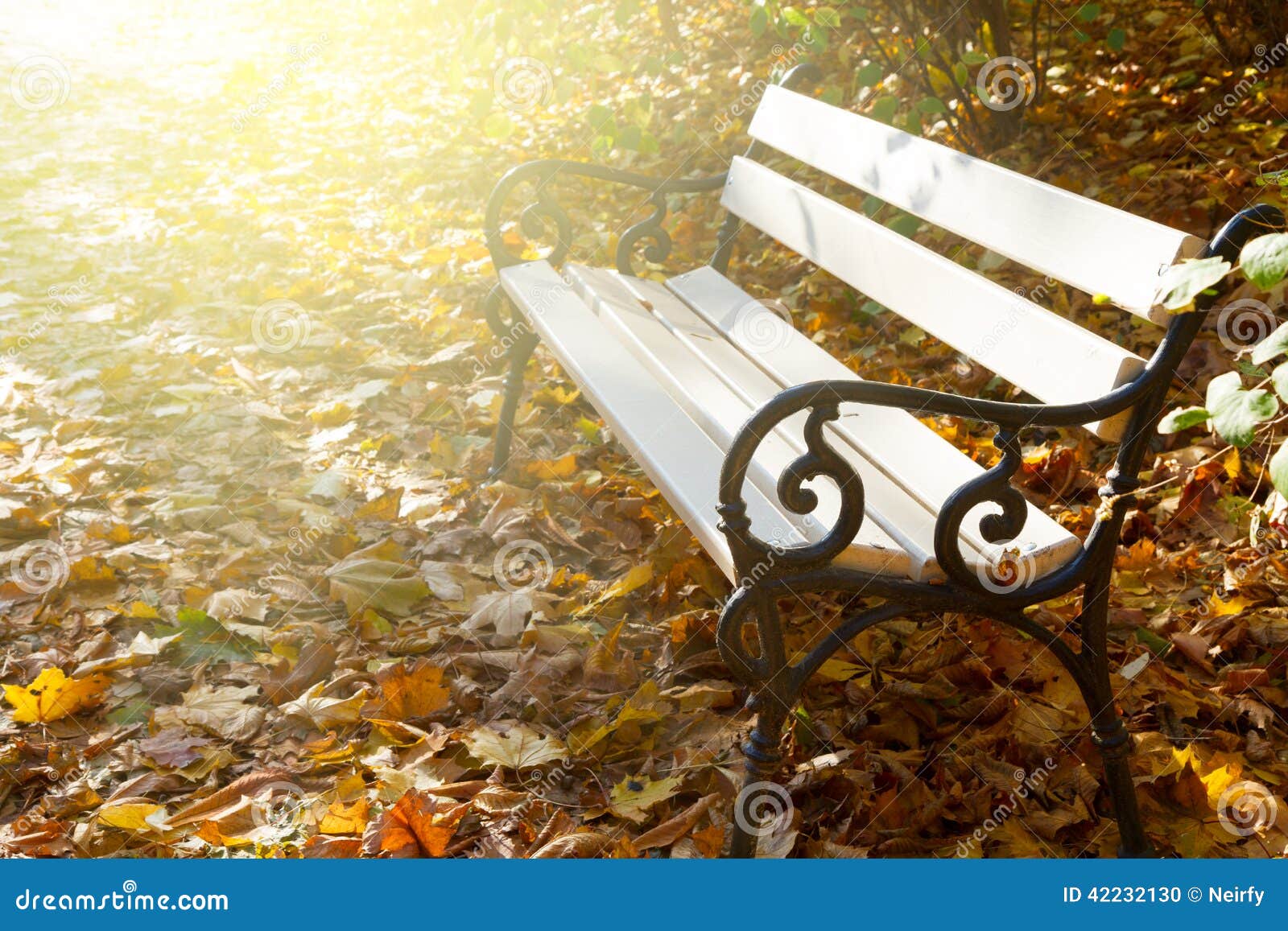 Empty bench autumn park stock photo. Image of outdoors - 42232130